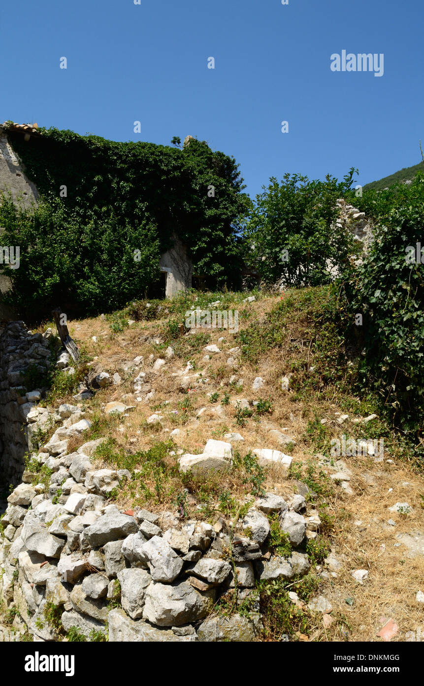 The embrace of nature ruins overgrown with vegetation Stock Photo - Alamy