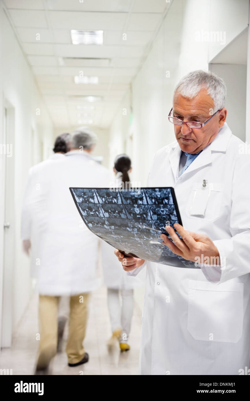 Senior Radiologist Reviewing X-ray Stock Photo - Alamy