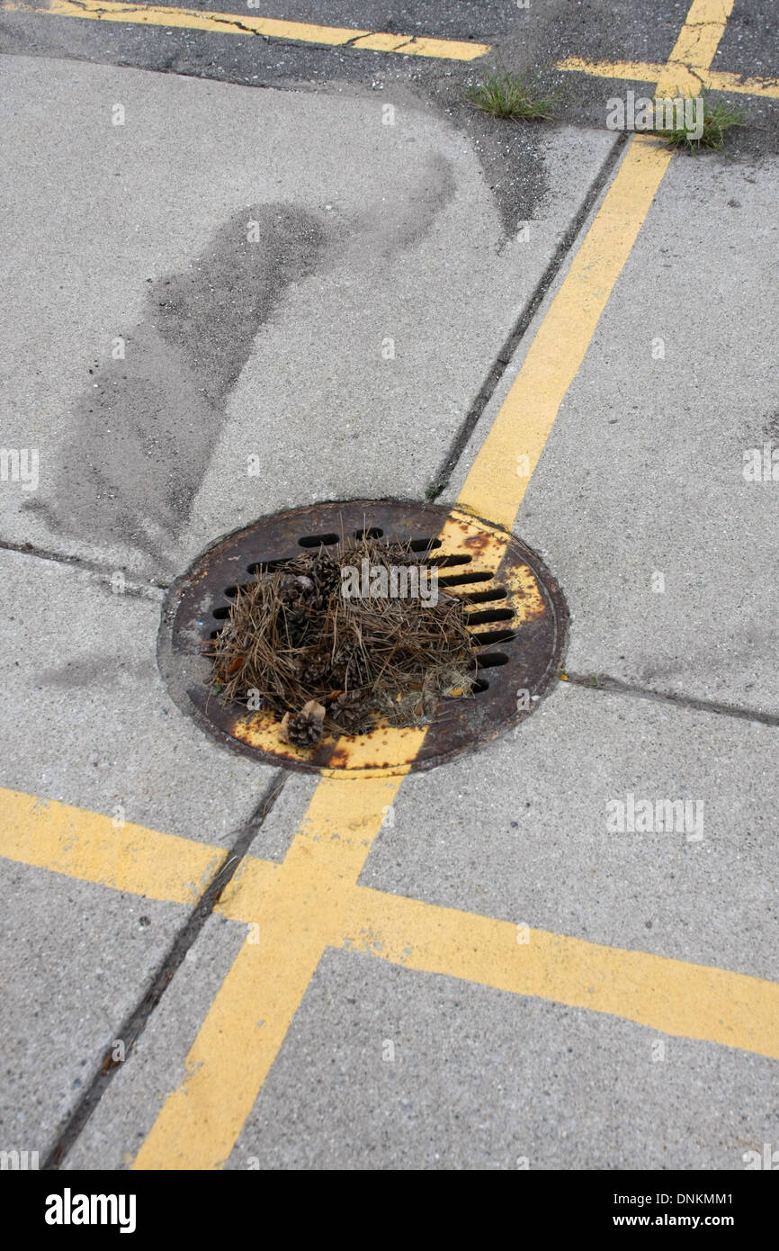 Clogged catch basin hi-res stock photography and images - Alamy