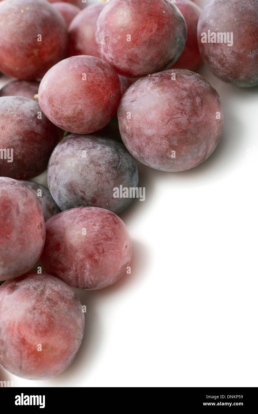 Close-up of grapes on white background Stock Photo - Alamy