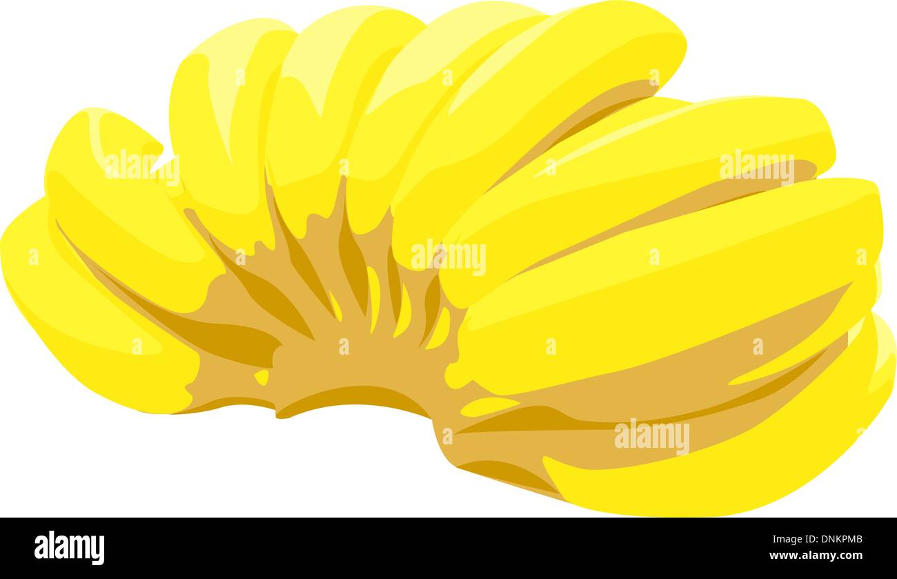 Raw bananas bunch on Stock Vector Images - Alamy