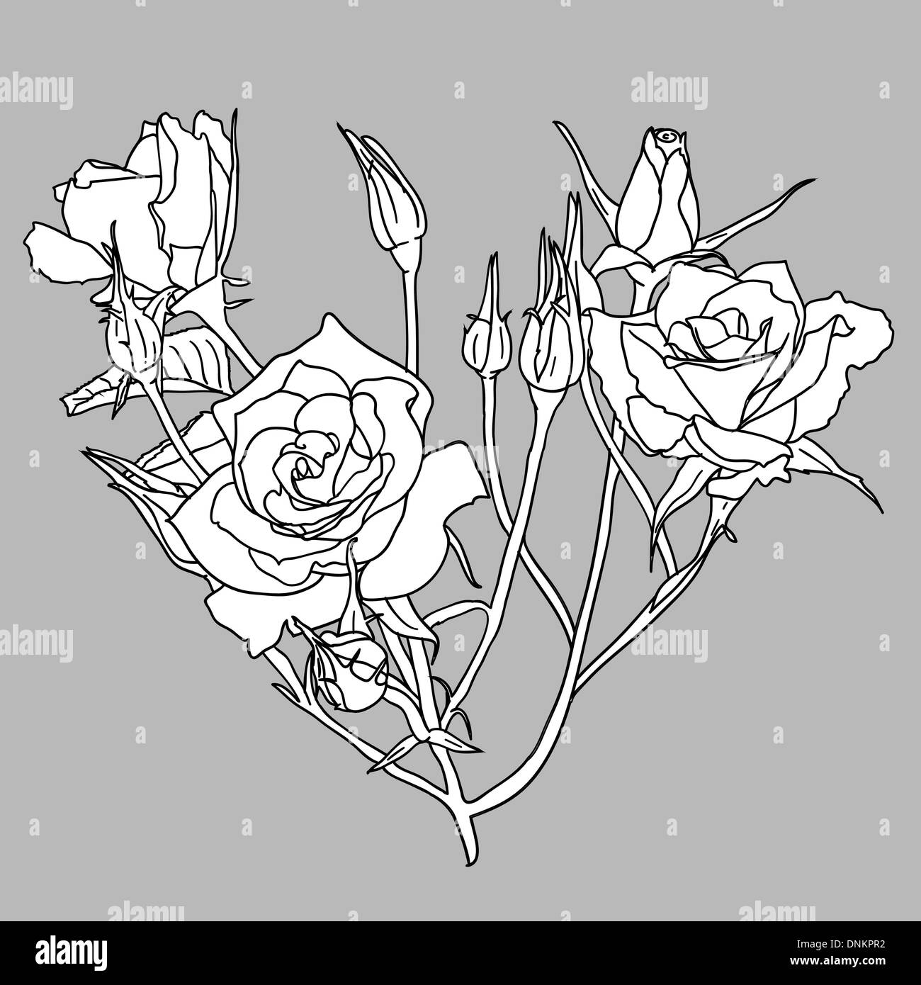 floral design element and hand-drawn , vector illustration Stock Vector ...