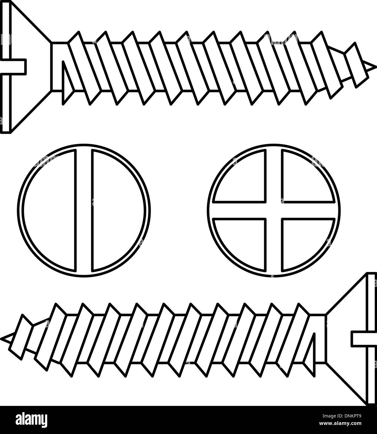 Stainless steel screw. Vector illustration Stock Vector Image & Art - Alamy