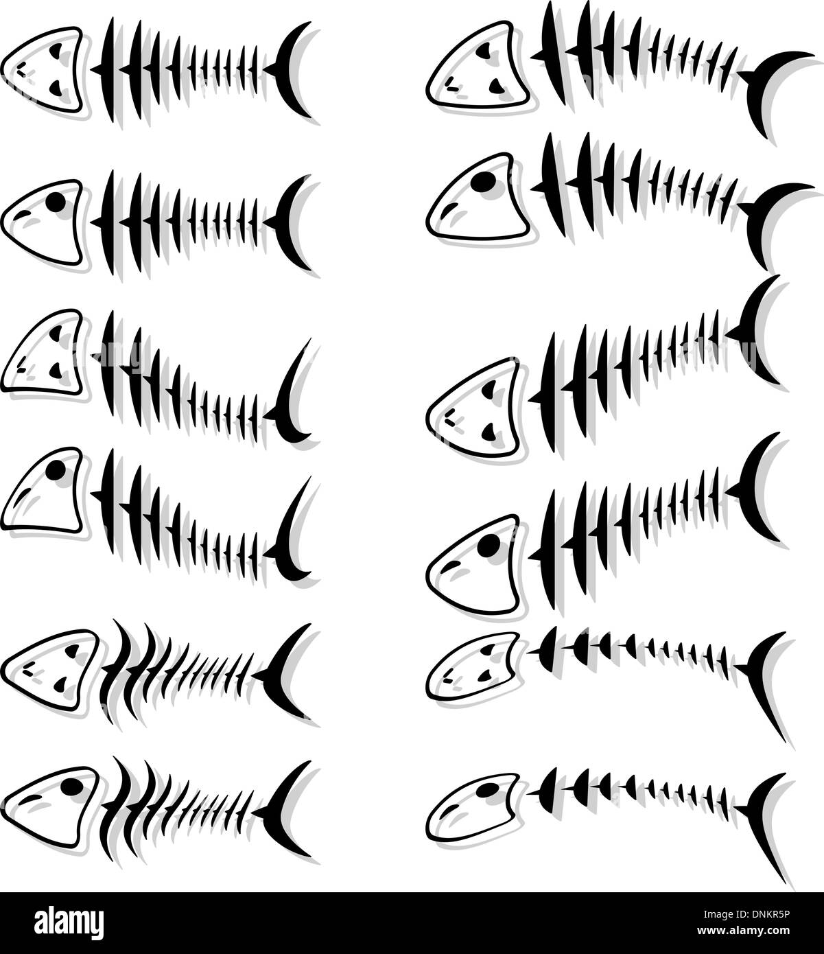 Fish skeletons Cut Out Stock Images & Pictures - Alamy