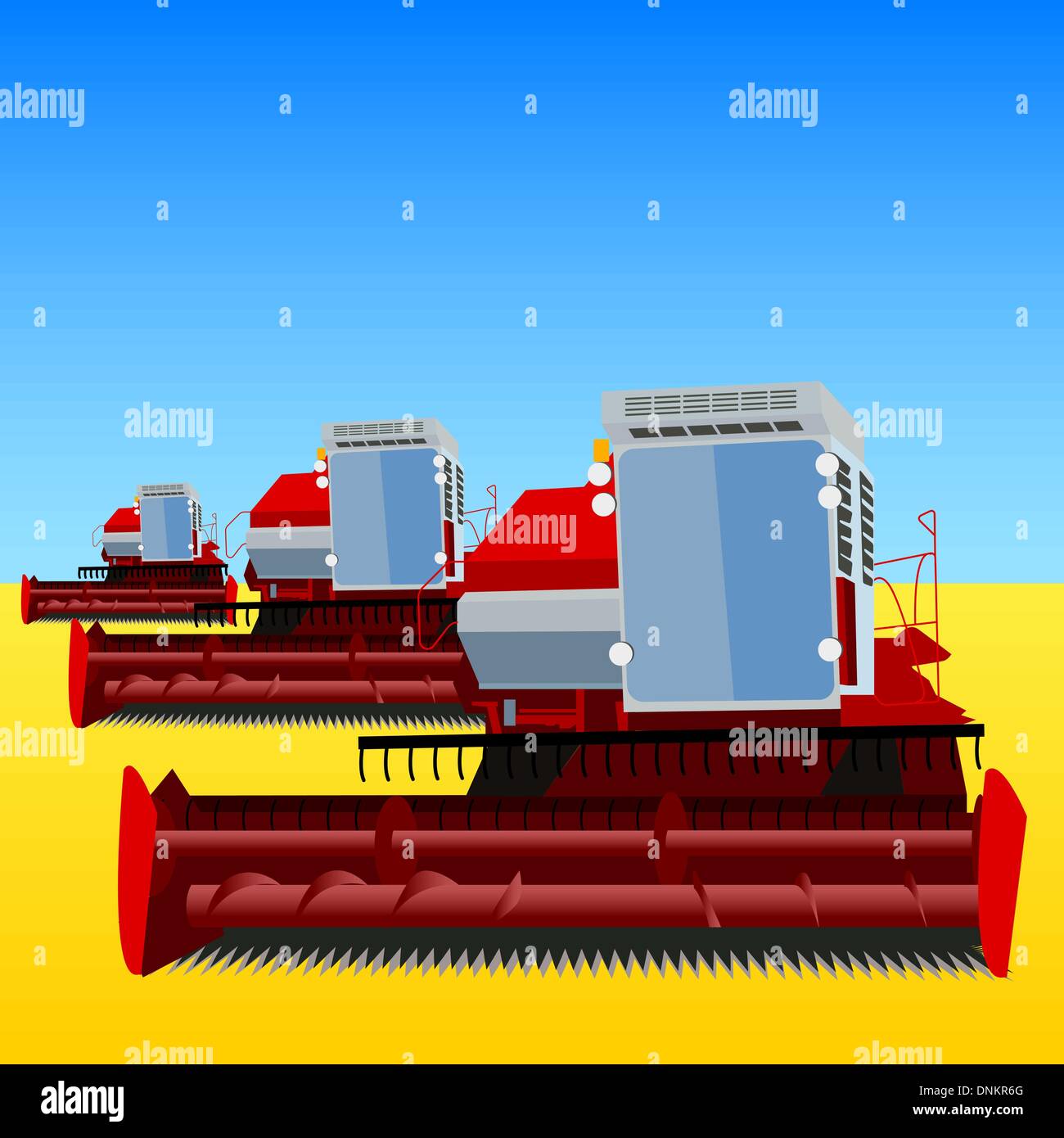 Wheat straw on field Stock Vector Images - Alamy