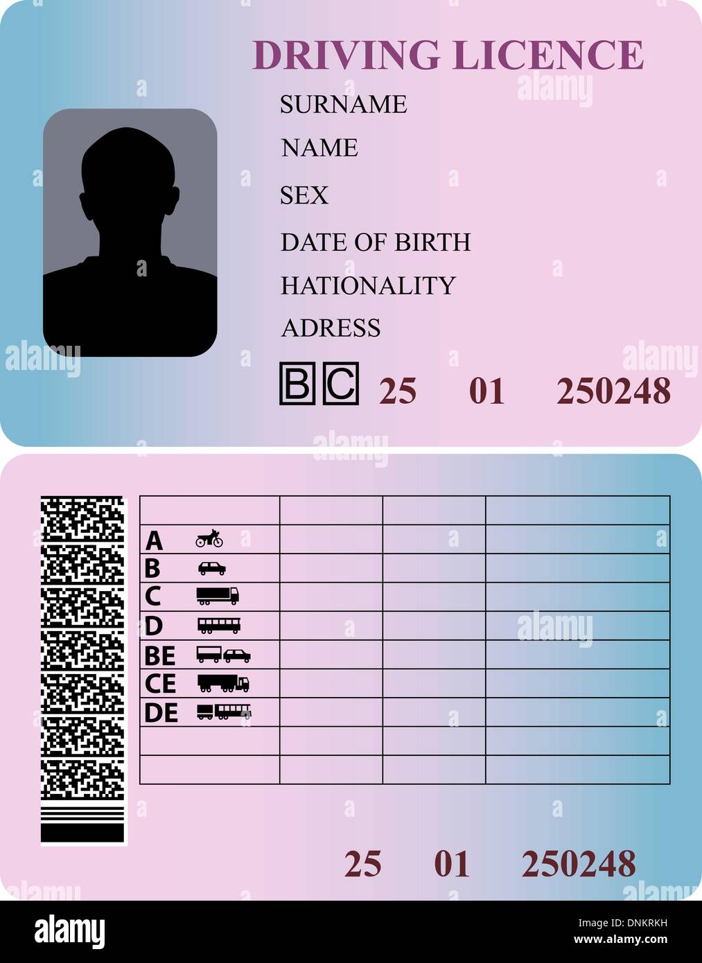 Driving license. Vector illustration Stock Vector Image & Art - Alamy