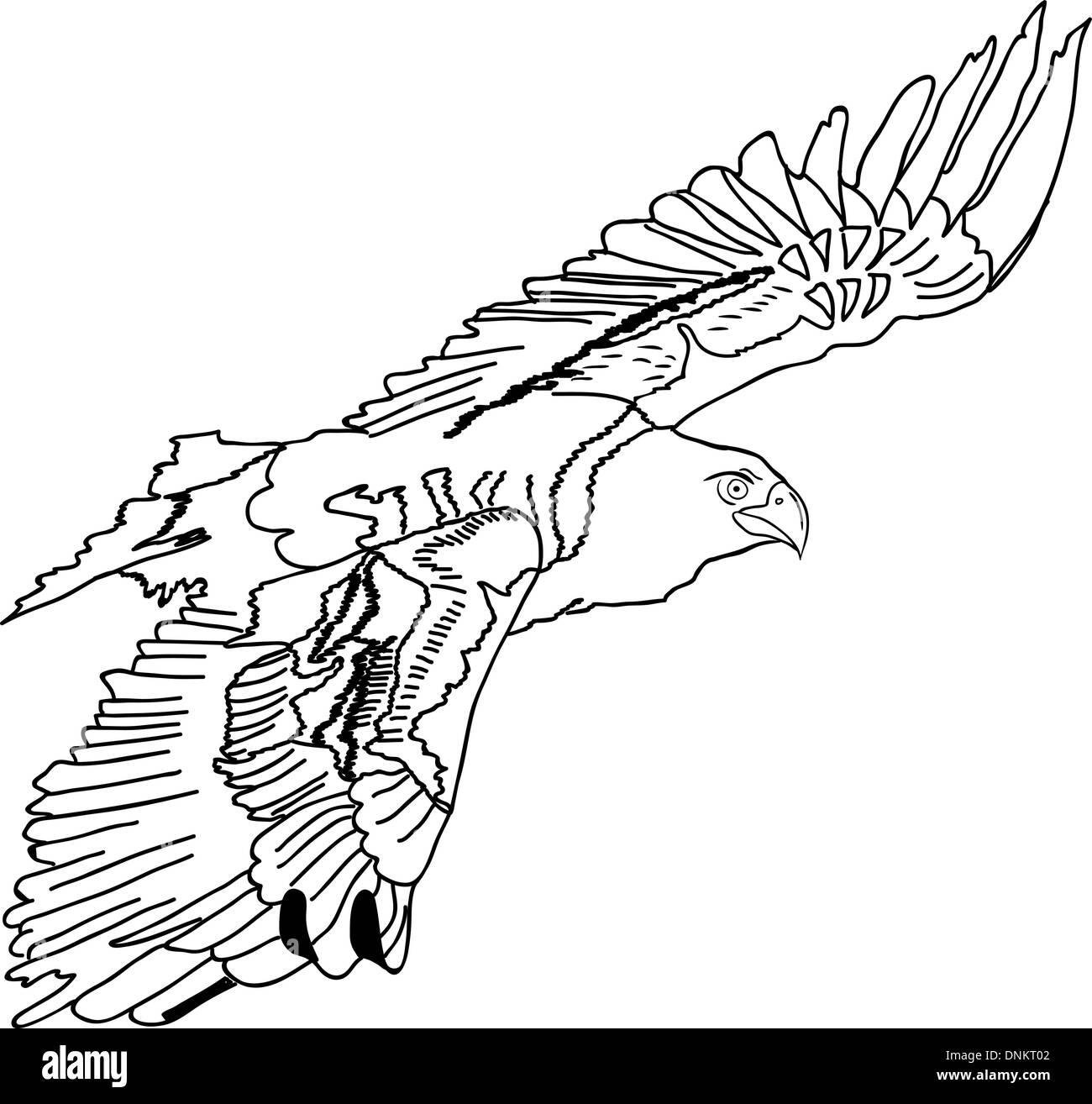 Swoop Stock Vector Images - Alamy