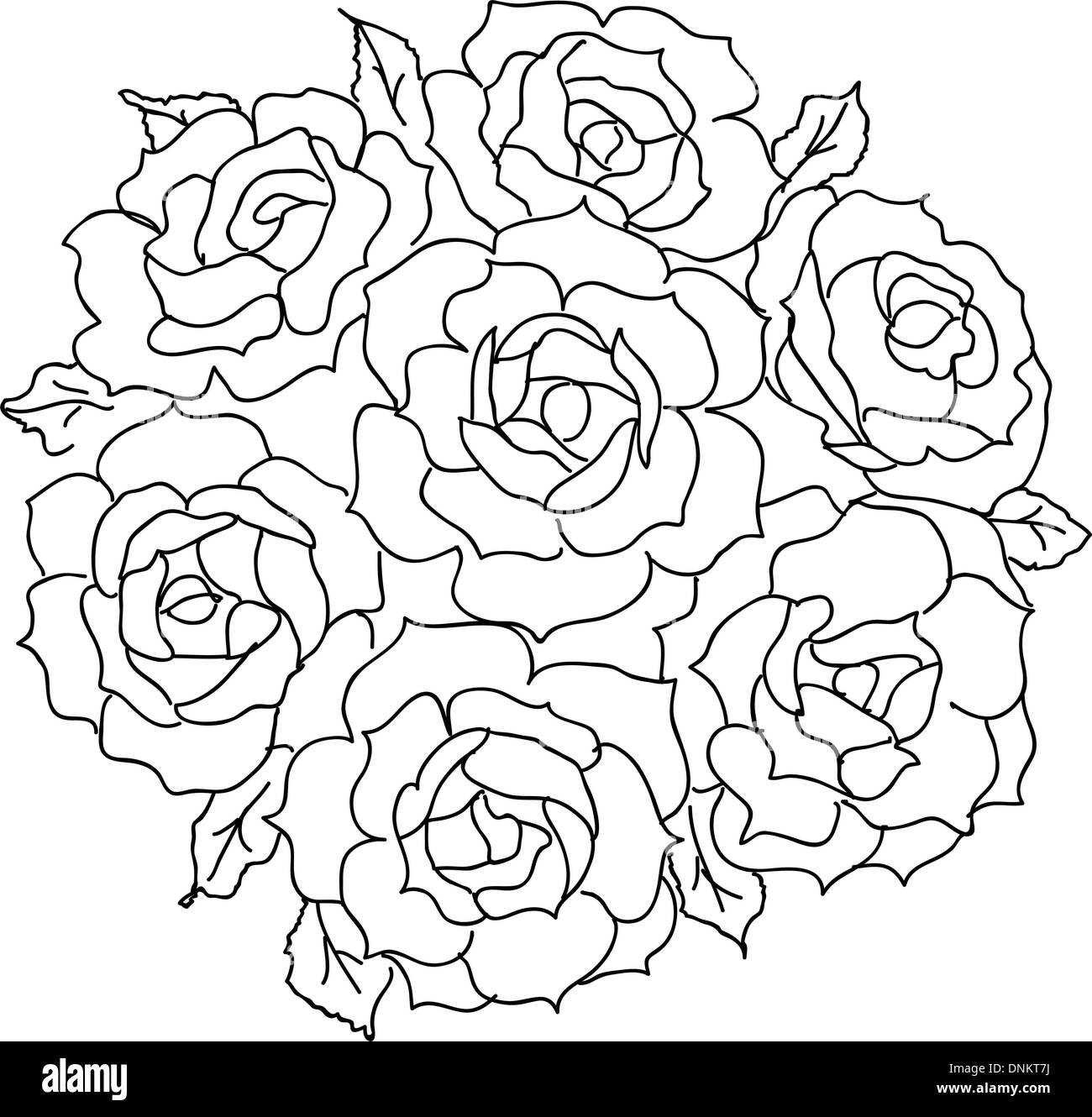 Large bouquet of roses. vector Stock Vector Image & Art - Alamy