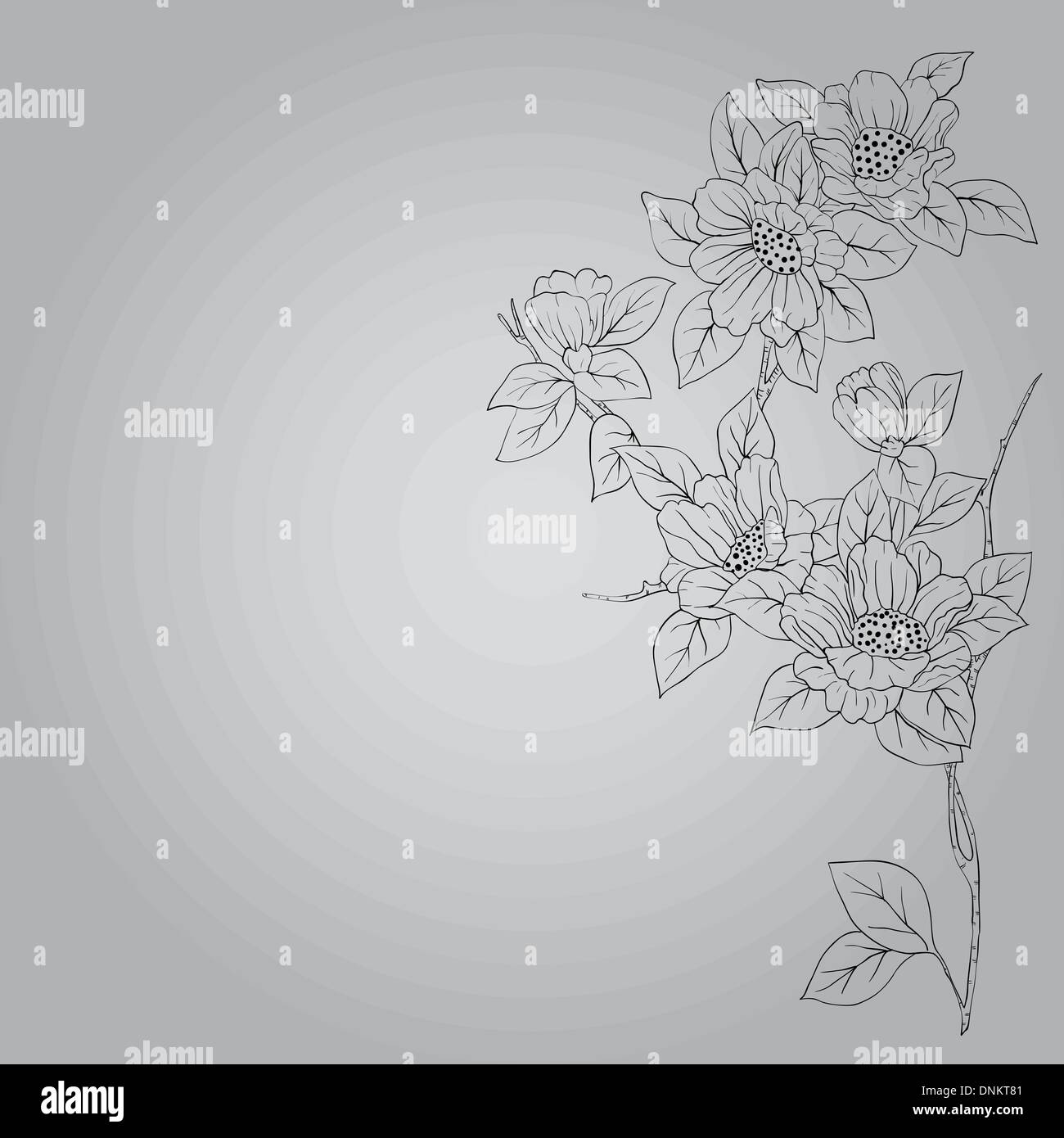 eps10 hand drawn background with a fantasy flower Stock Vector Image ...