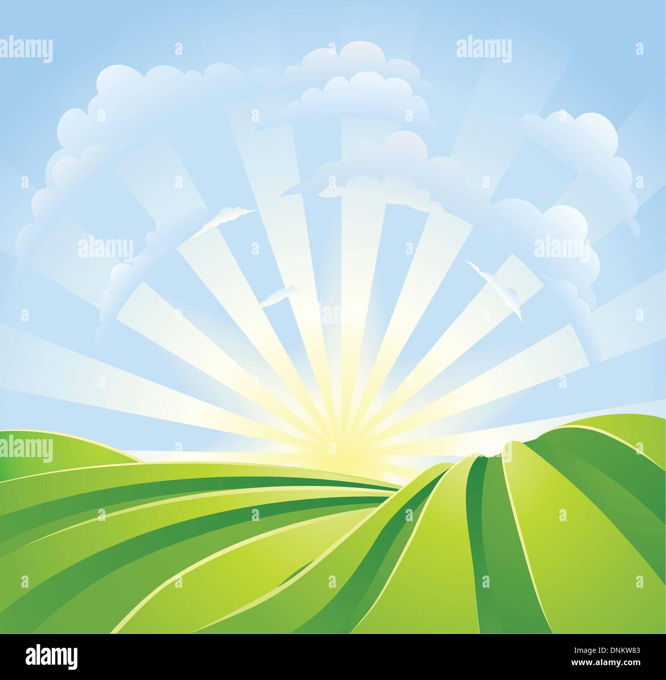 Illustration of idyllic green fields with sunshine rays and blue sky. A ...