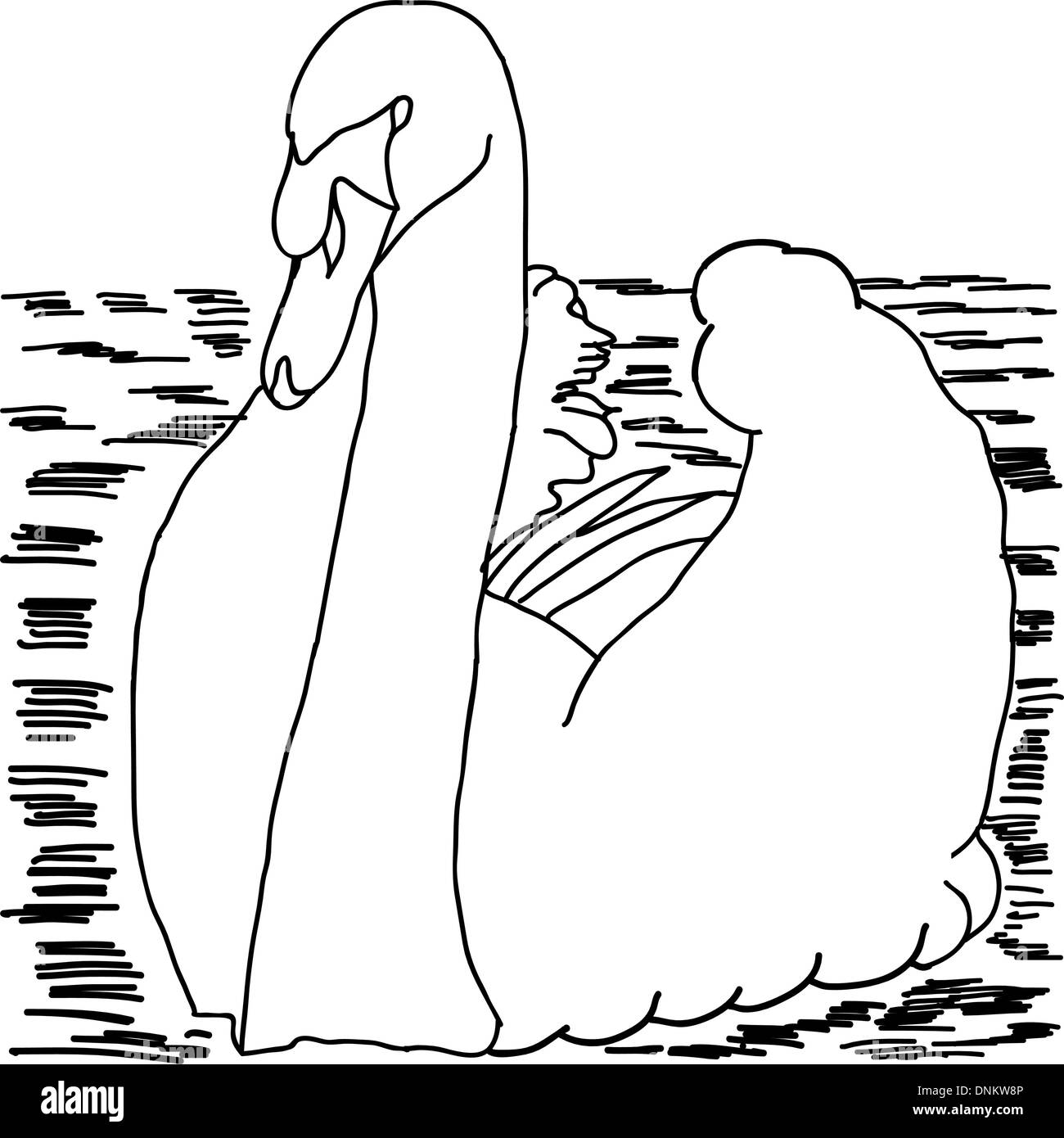 Cygnet on water Stock Vector Images - Alamy