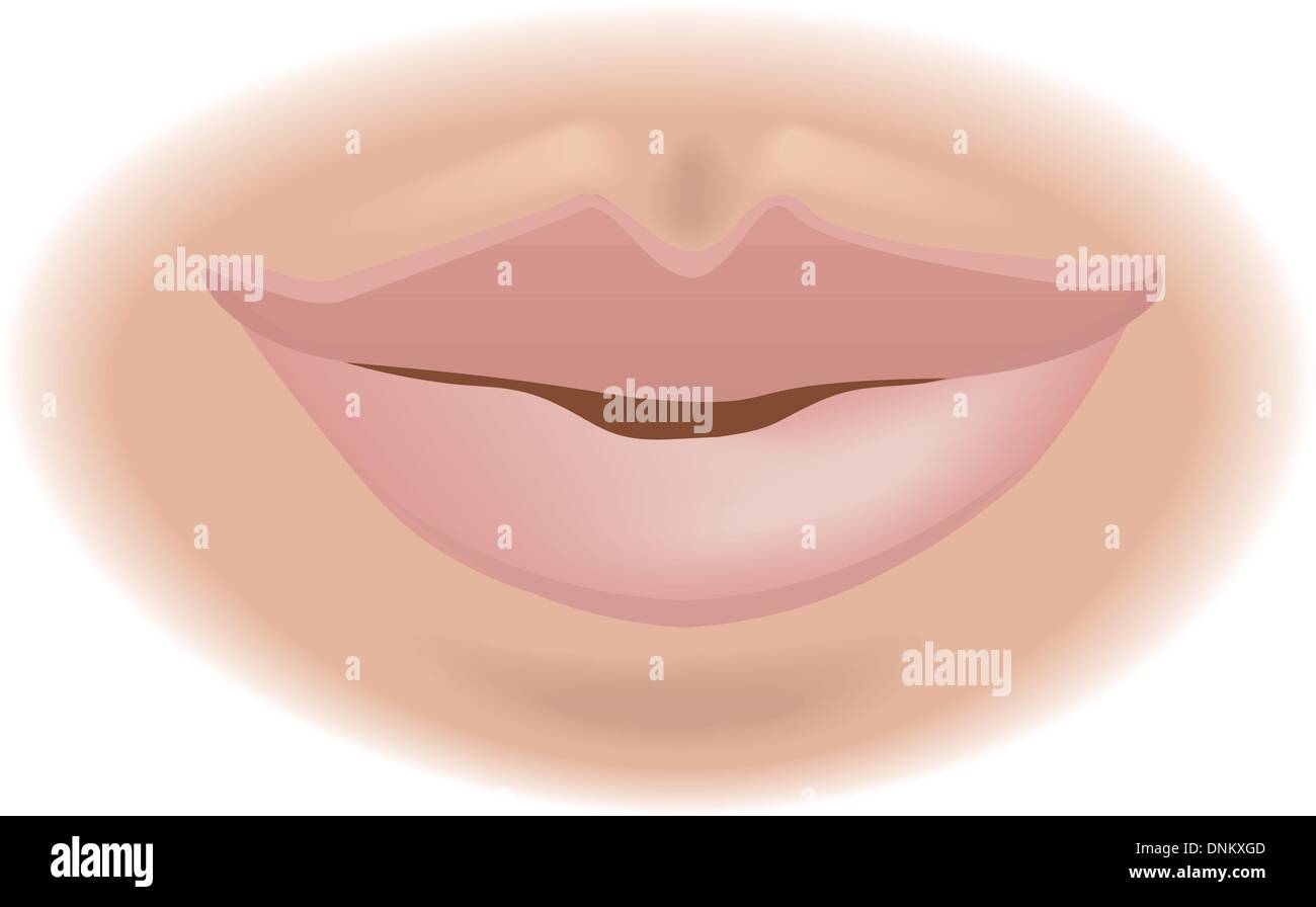 An illustration of a human mouth, no meshes used Stock Vector Image ...