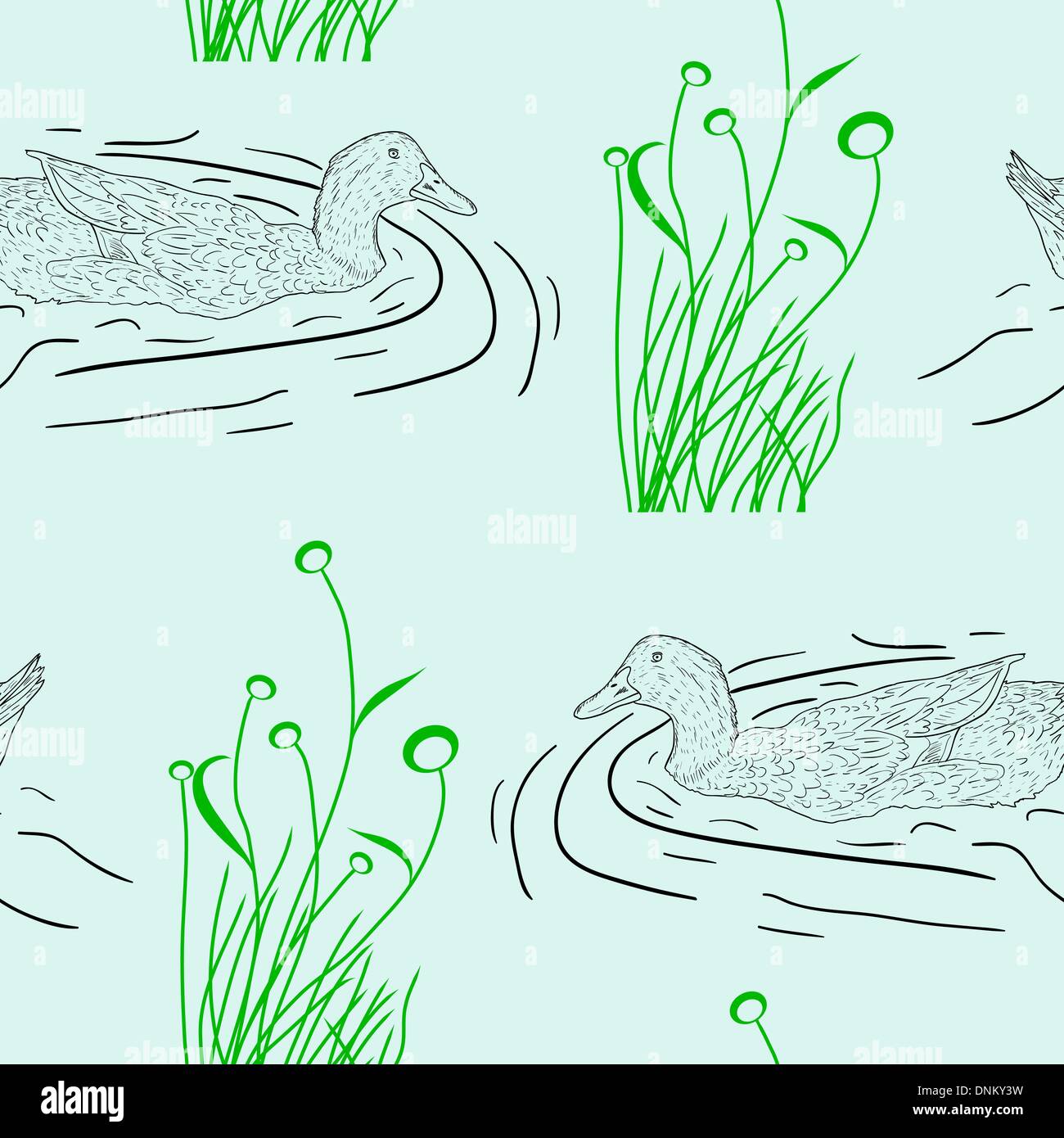 seamless background, Wild duck. Hand-painted vector illustration Stock ...