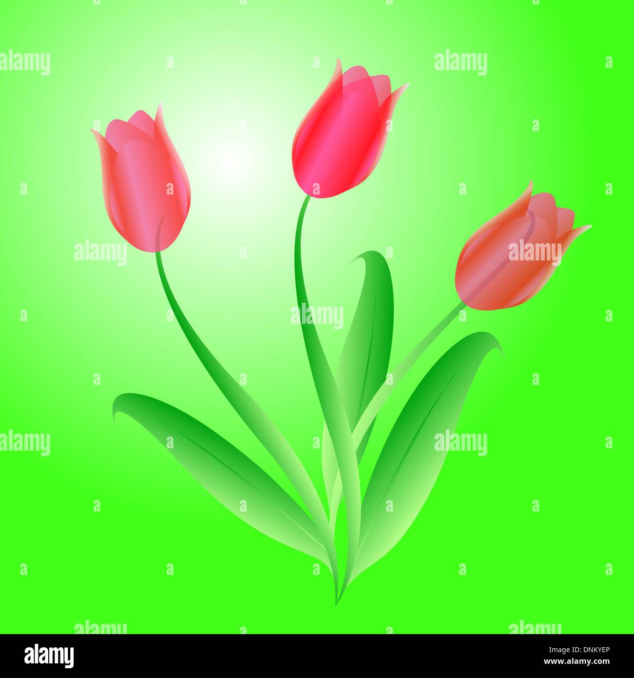 Tropical bouquet arrangement Stock Vector Images - Alamy