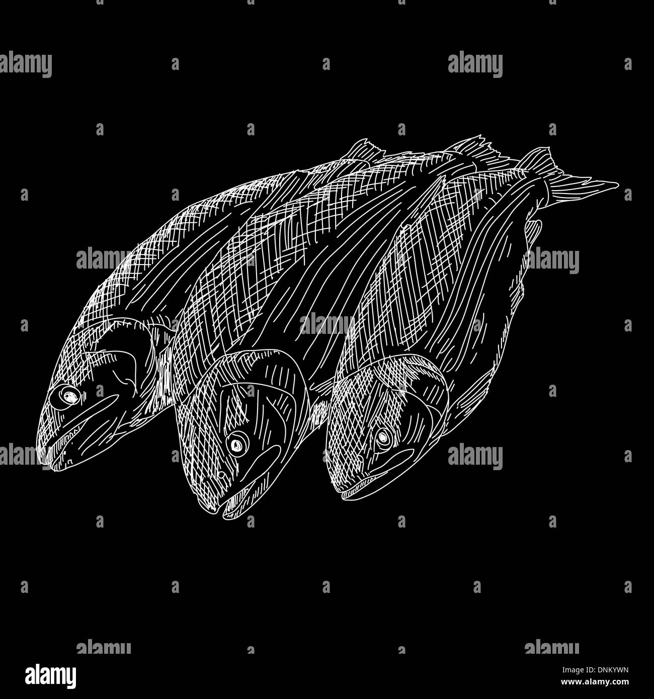 vector drawing hand fish Stock Vector Image & Art - Alamy