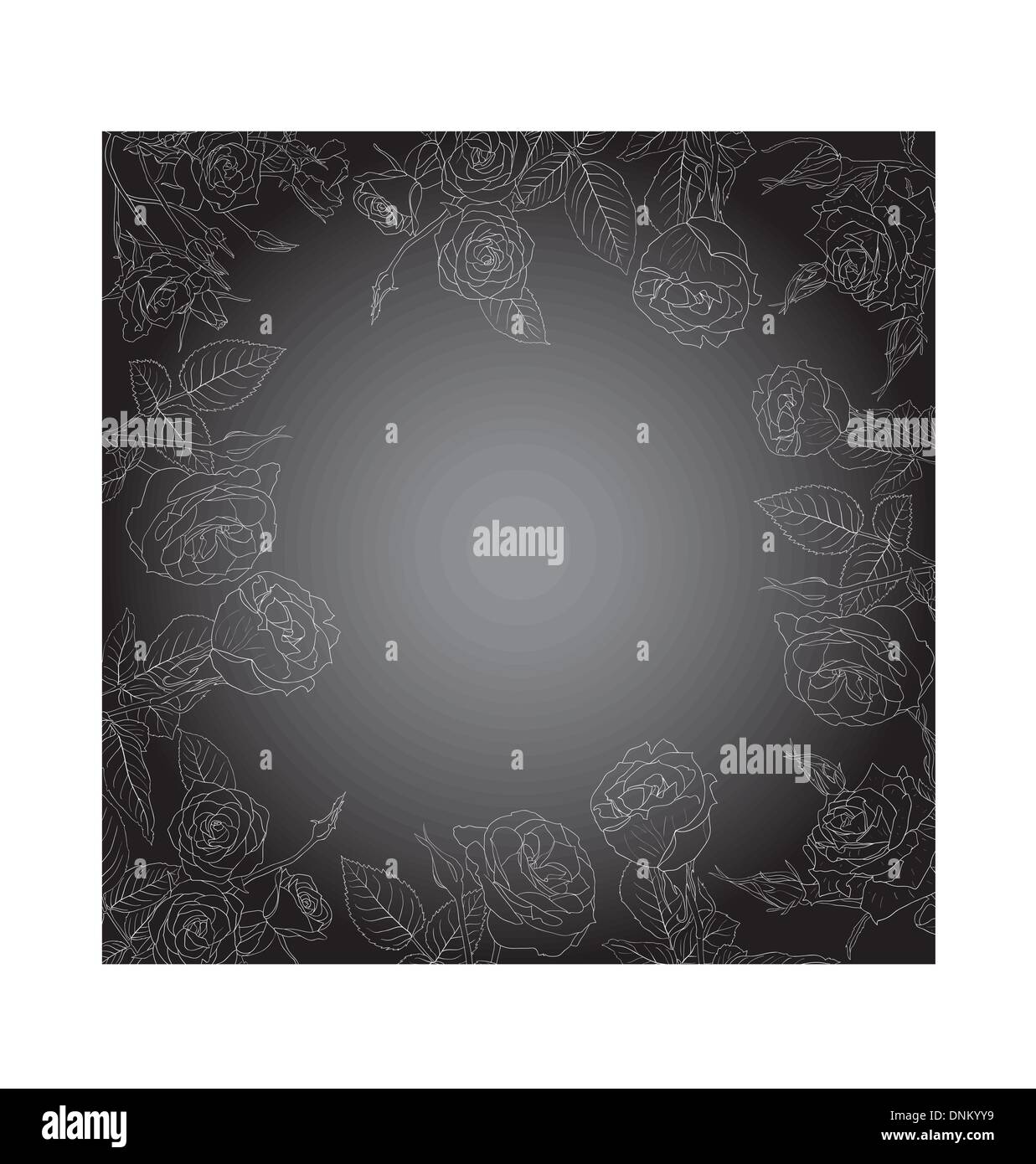 Vector garden flowers cosmos Cut Out Stock Images & Pictures - Alamy