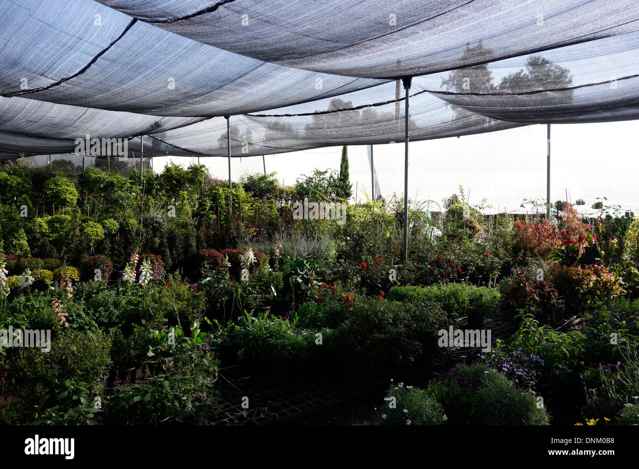 Ramat Hasharon High Resolution Stock Photography and Images - Alamy