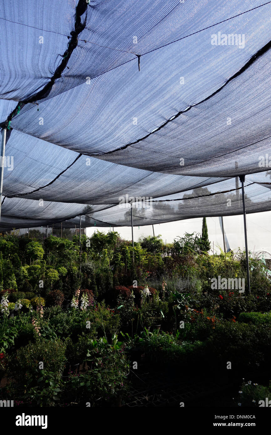 Ramat hasharon hi-res stock photography and images - Alamy