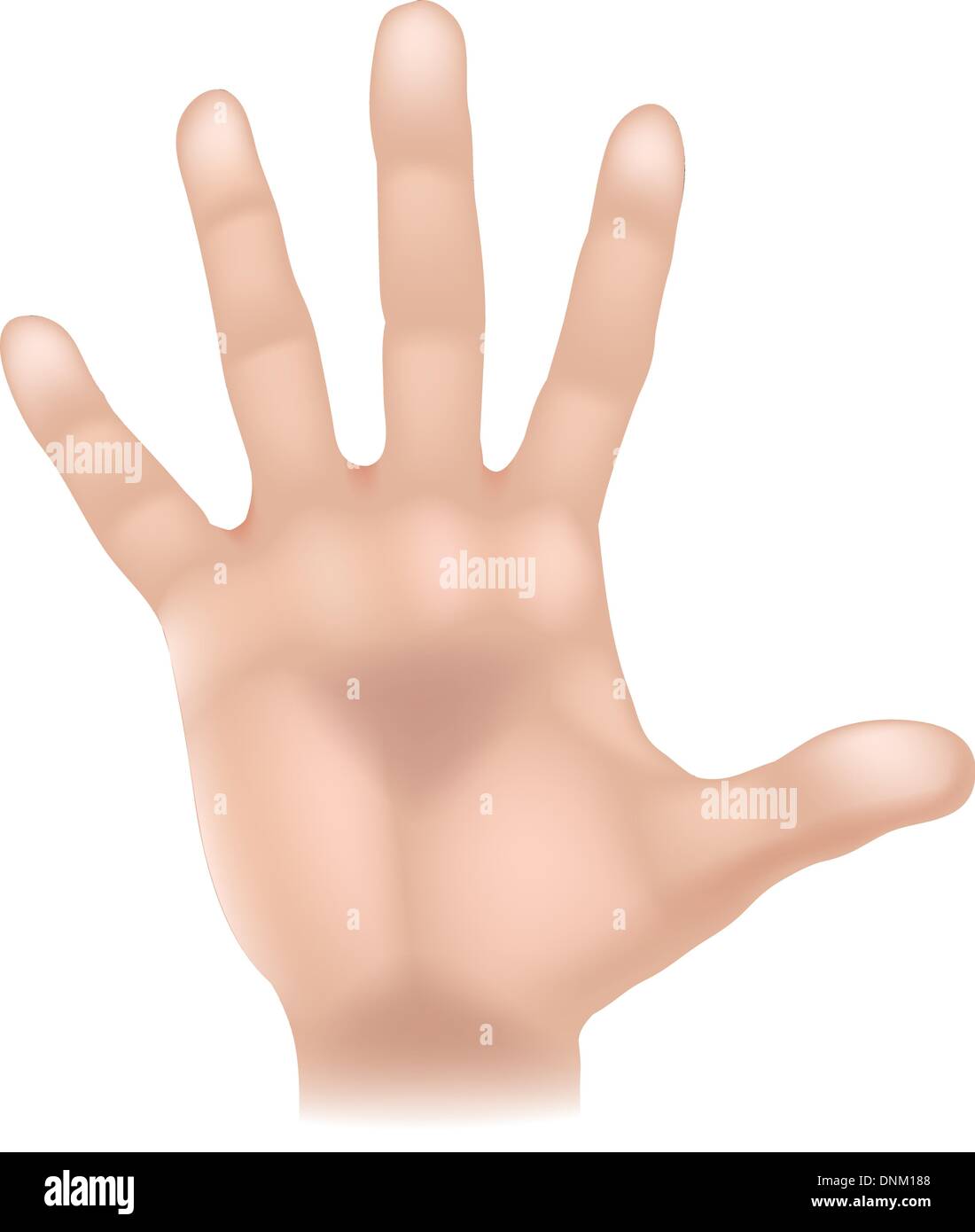 Five senses Cut Out Stock Images & Pictures - Alamy