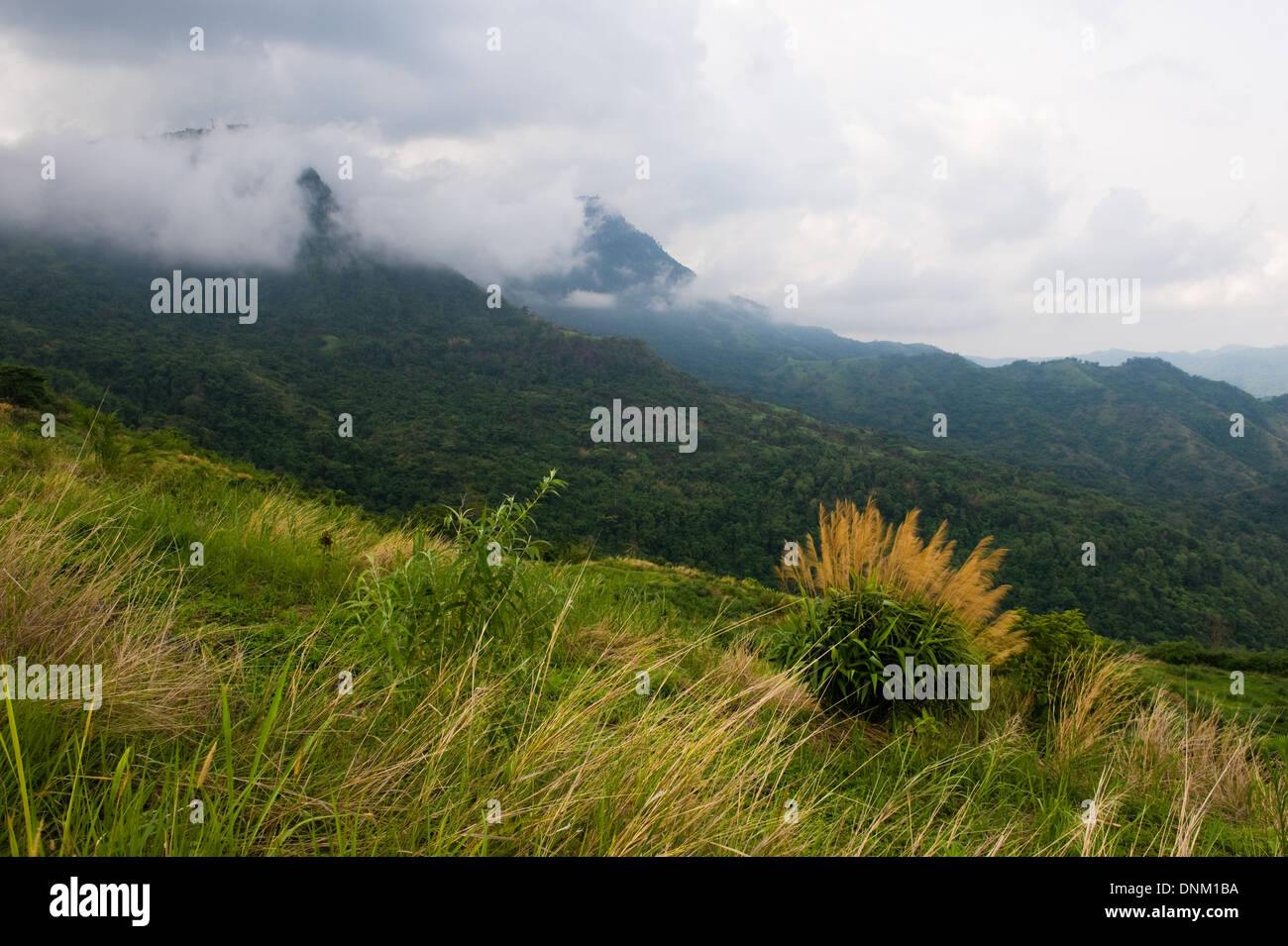 Khao Kho, Thailand, Khao Kho National Park Stock Photo - Alamy