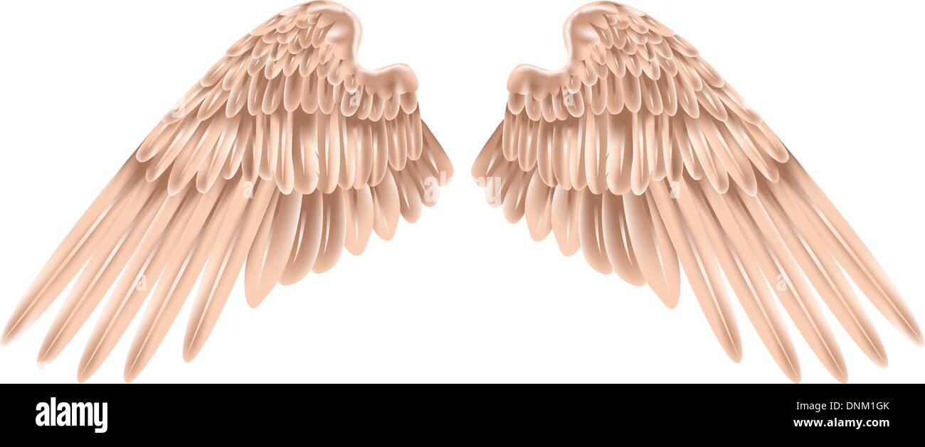 Illustration of a pair of outstretched beautiful white wings Stock ...