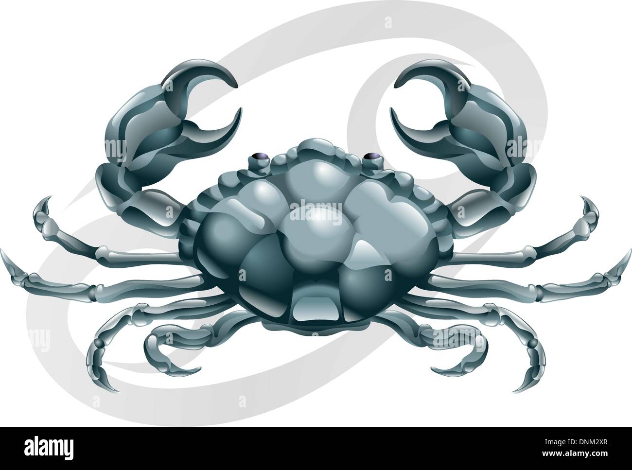 Illustration representing Cancer the crab star or birth sign. Includes ...