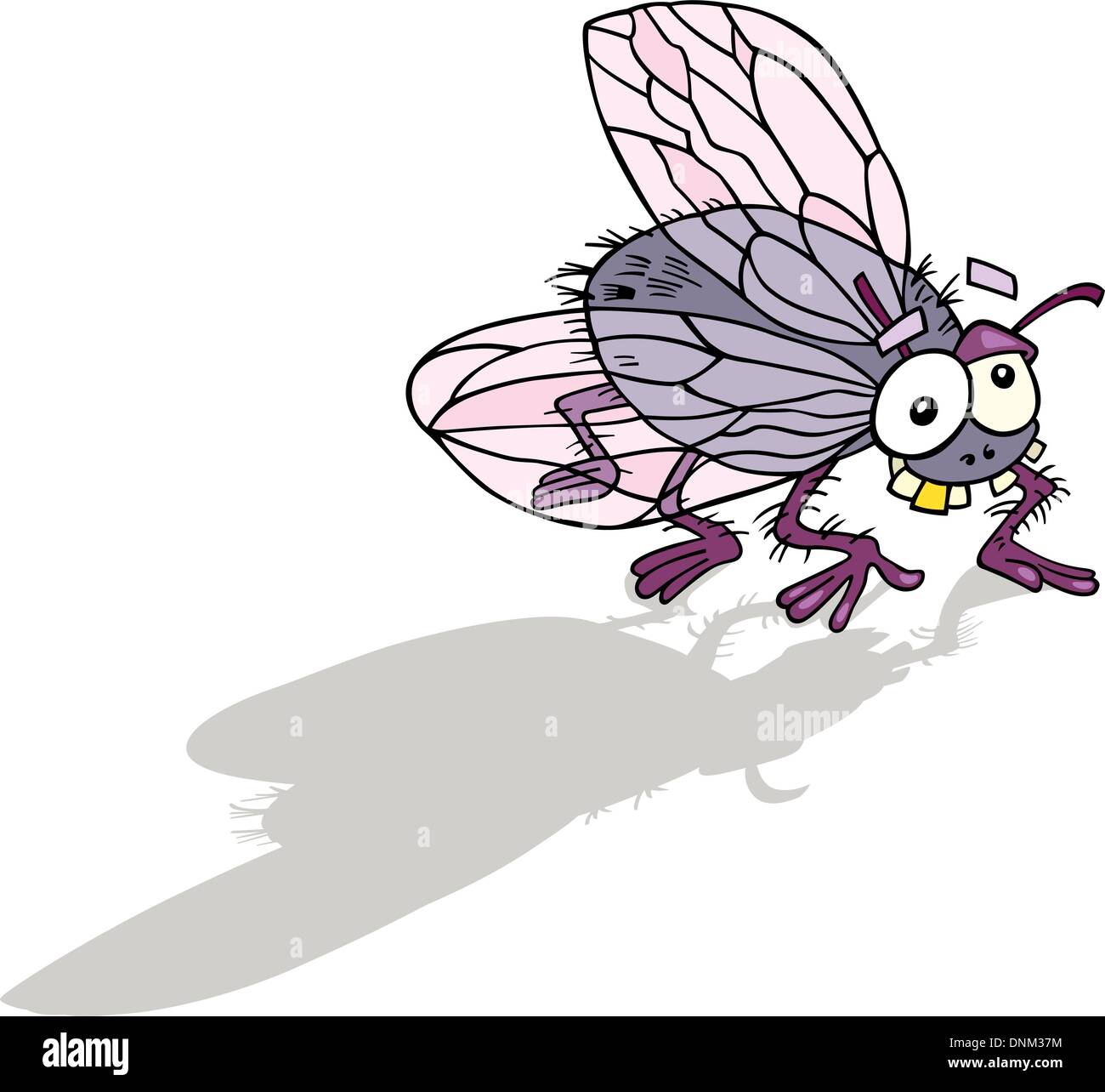 Illustration of funny fly Stock Vector Image & Art - Alamy
