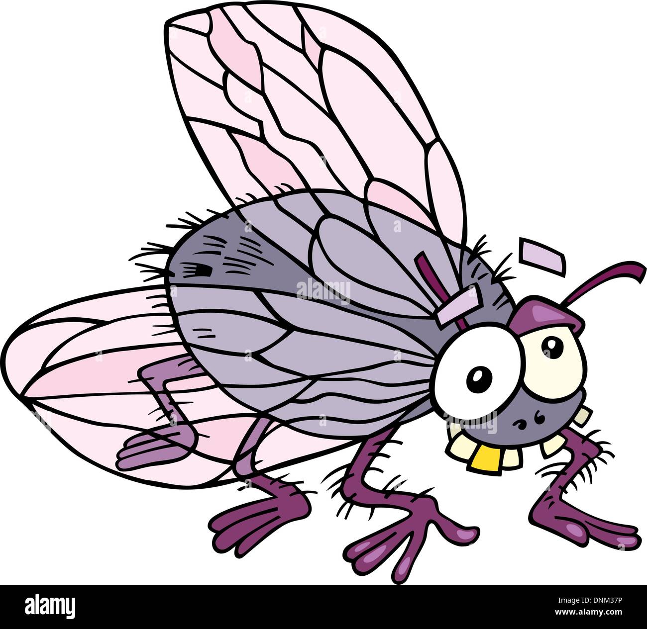Illustration of funny fly Stock Vector Image & Art - Alamy