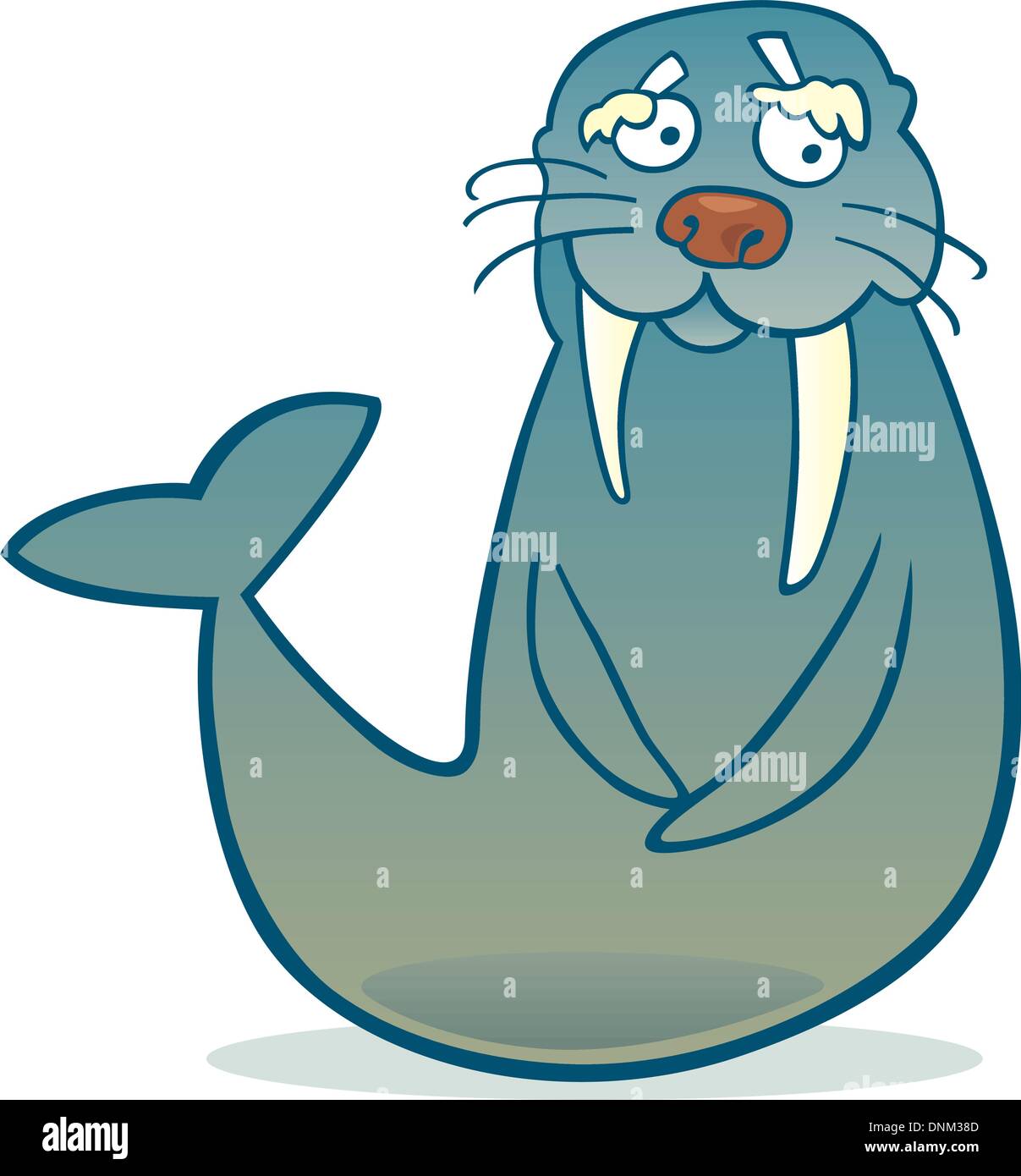 Cartoon illustration of funny walrus Stock Vector Image & Art - Alamy