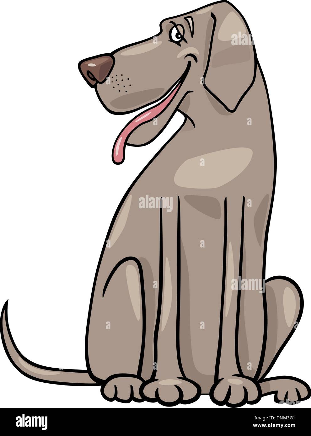 Cartoon Illustration of Funny Gray Great Dane Dog Stock Vector Image ...