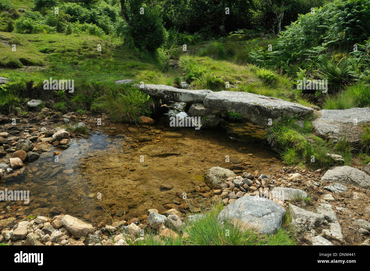 Small stone Clapper Bridge over stream near Combestone Tor, Dartmoor ...