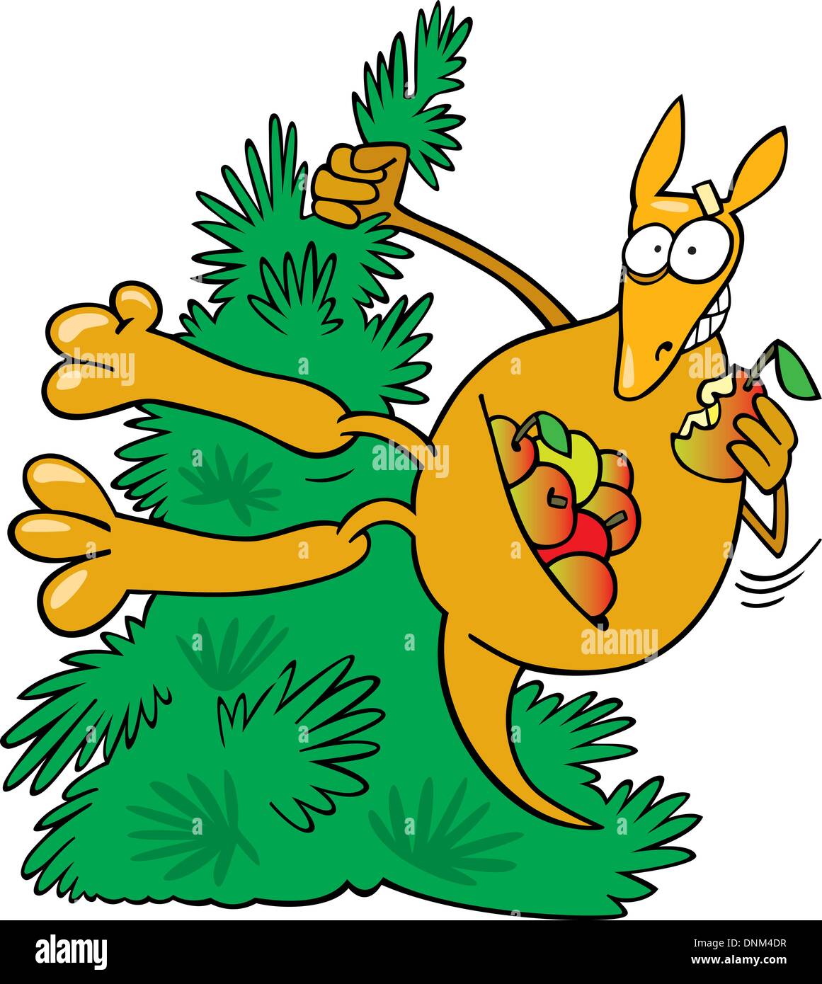 Crazy Kangaroo High Resolution Stock Photography and Images - Alamy