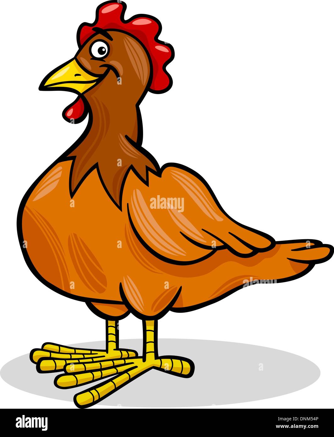 Poultry Animals Animated