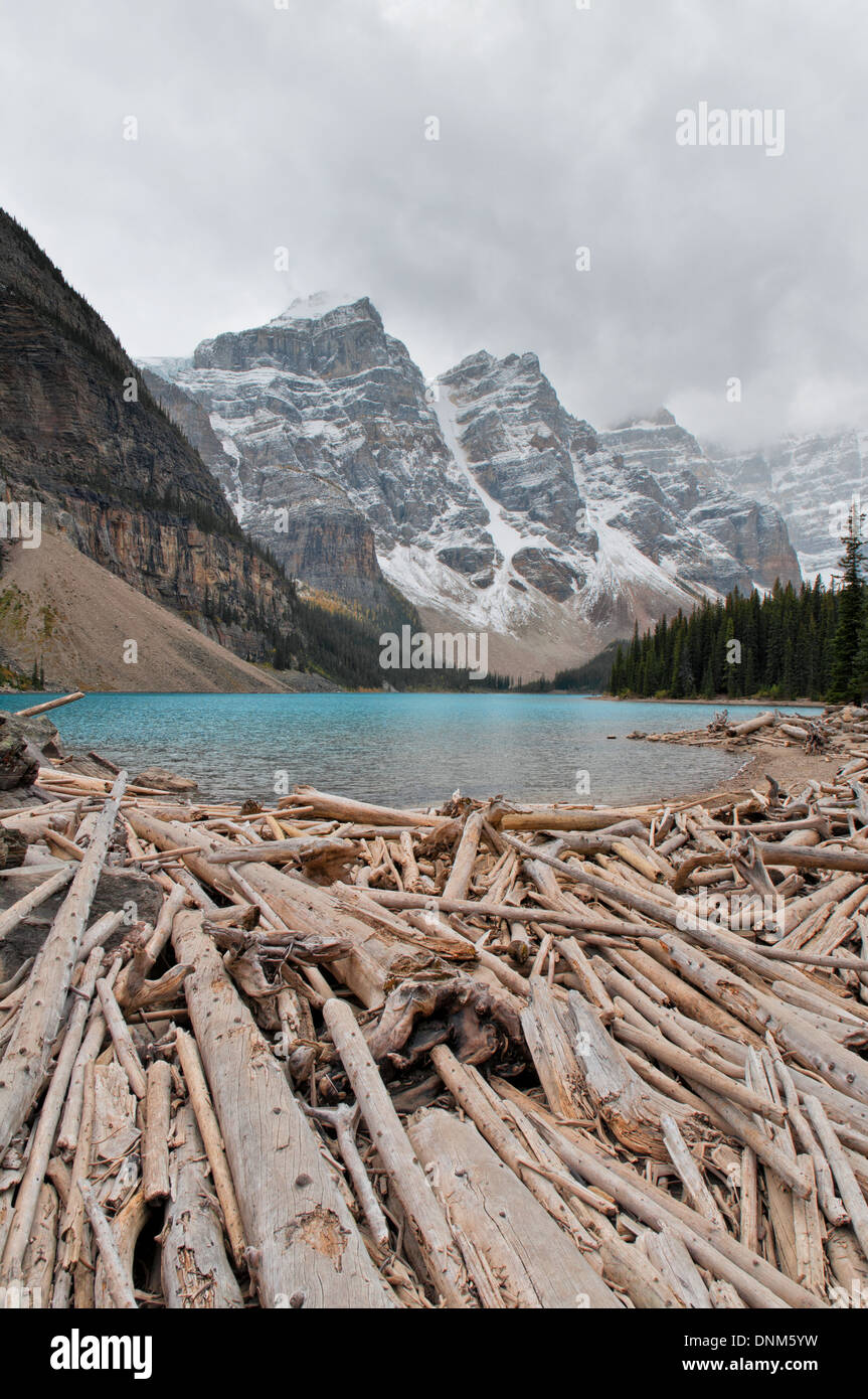 tree trunks in the lake moraine, AB, Canada Stock Photo - Alamy