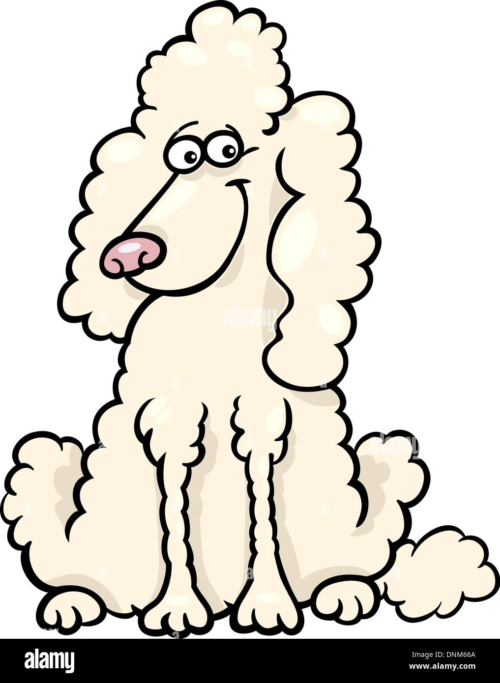 Cartoon Illustration of Funny Purebred White Poodle Stock Vector Image ...