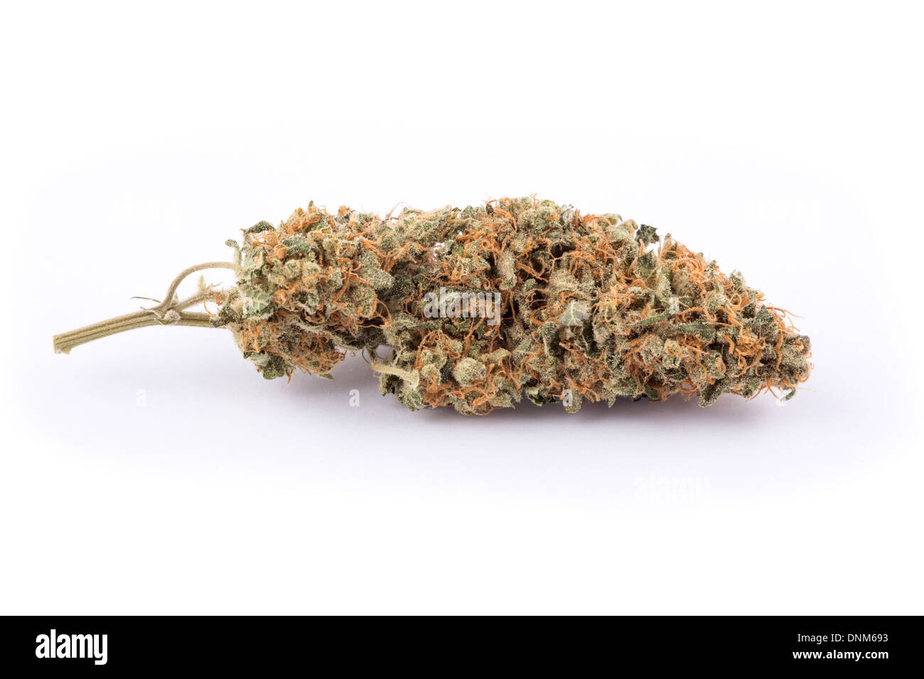 Northern lights cannabis Cut Out Stock Images & Pictures - Alamy