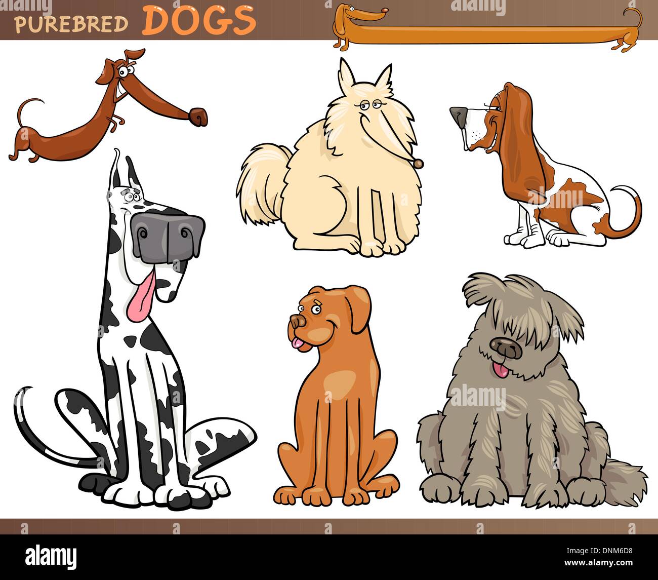 Cartoon Comic Illustration of Canine Breeds or Purebred Dogs Set Stock ...