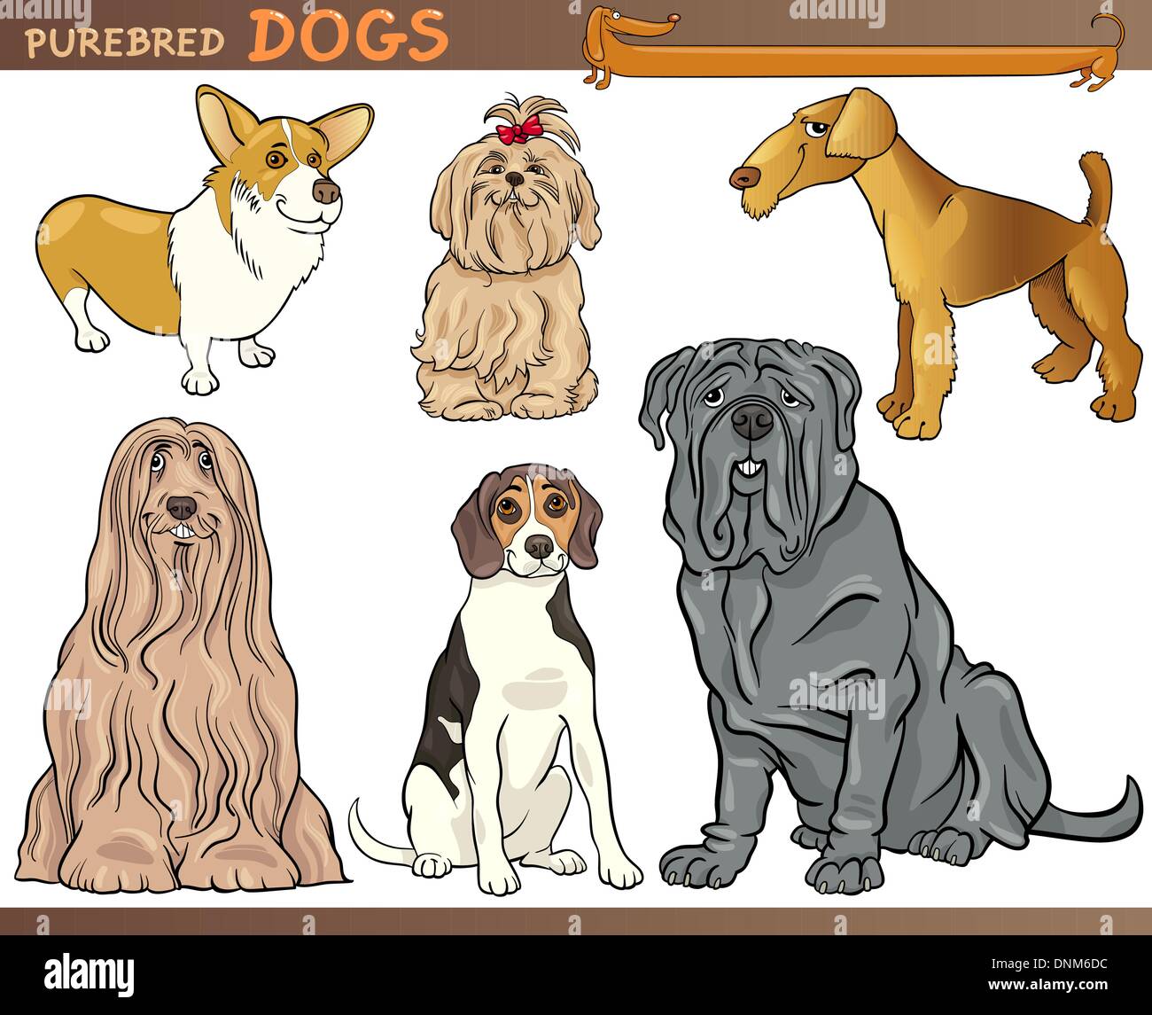 Cartoon Comic Illustration of Canine Breeds or Purebred Dogs Set Stock ...