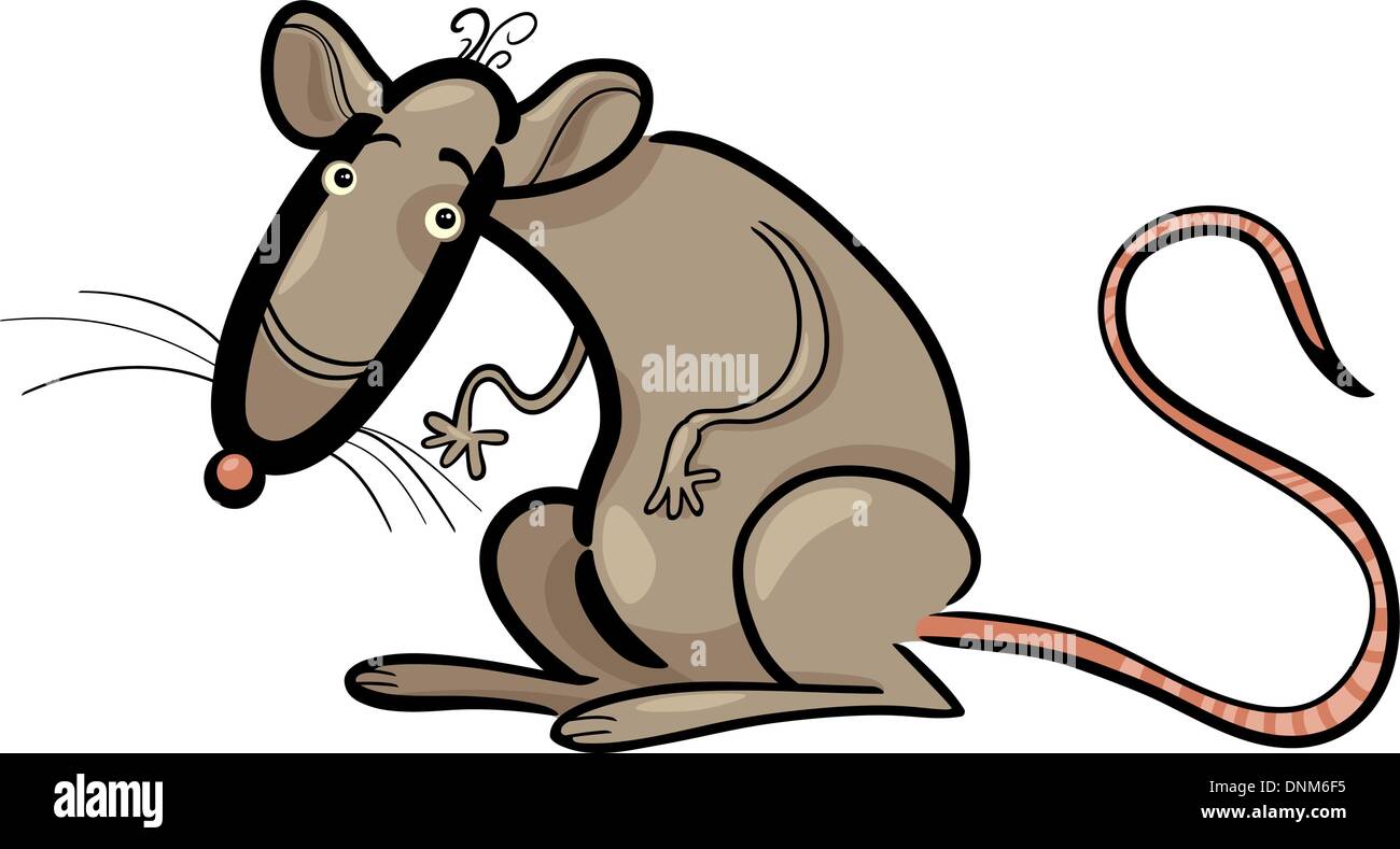 Cartoon Humorous Illustration of Rat Animal Character Stock Vector ...