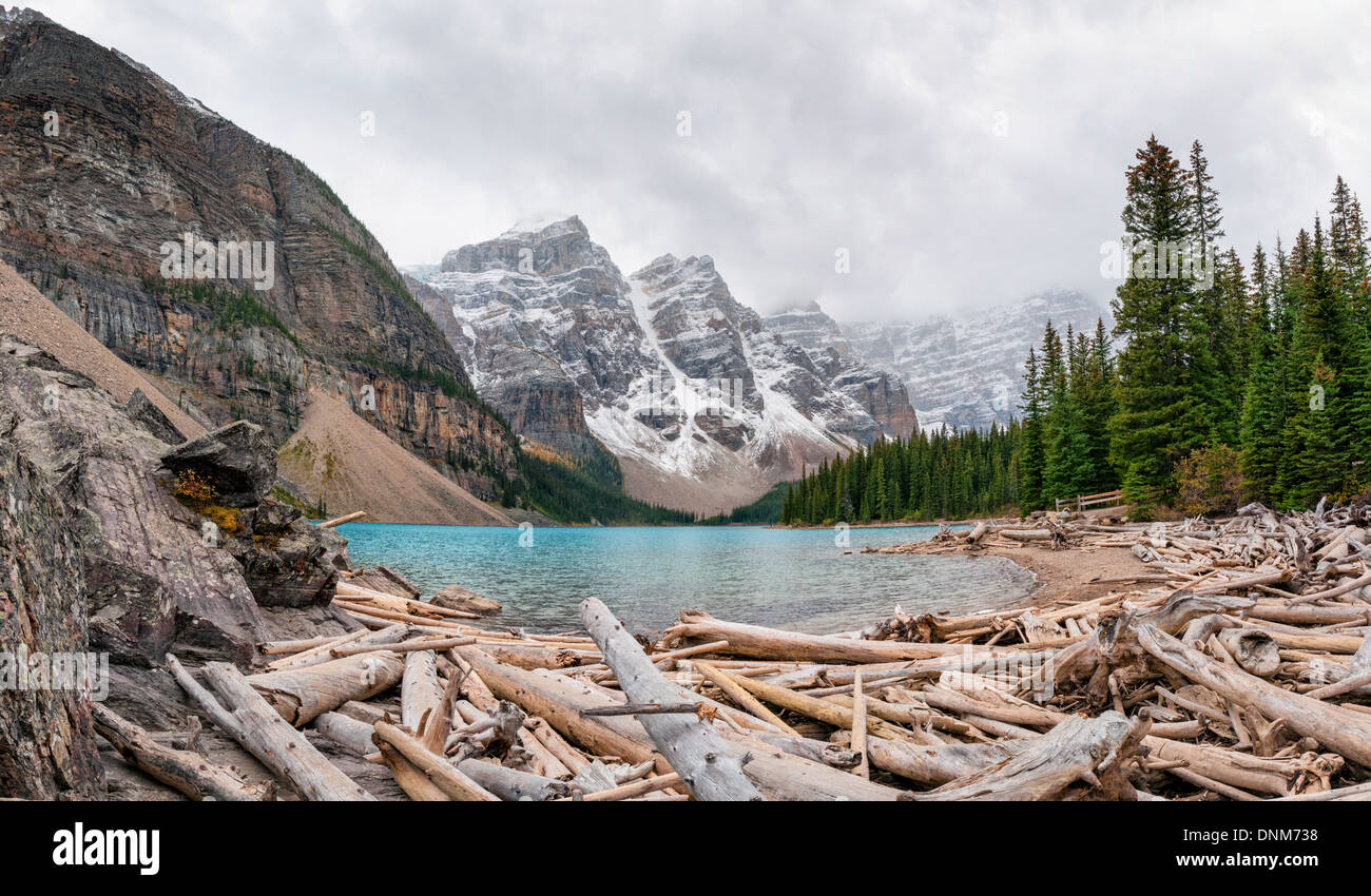 tree trunks in the lake moraine, AB, Canada Stock Photo - Alamy