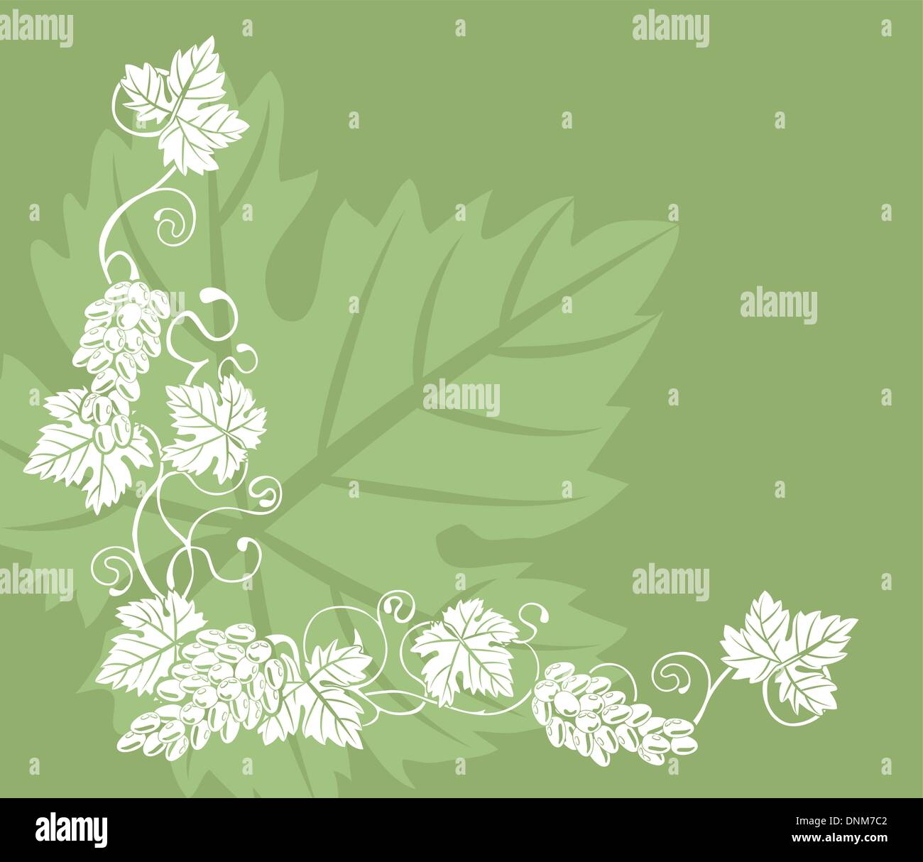 Red grape leaves vine Stock Vector Images - Alamy