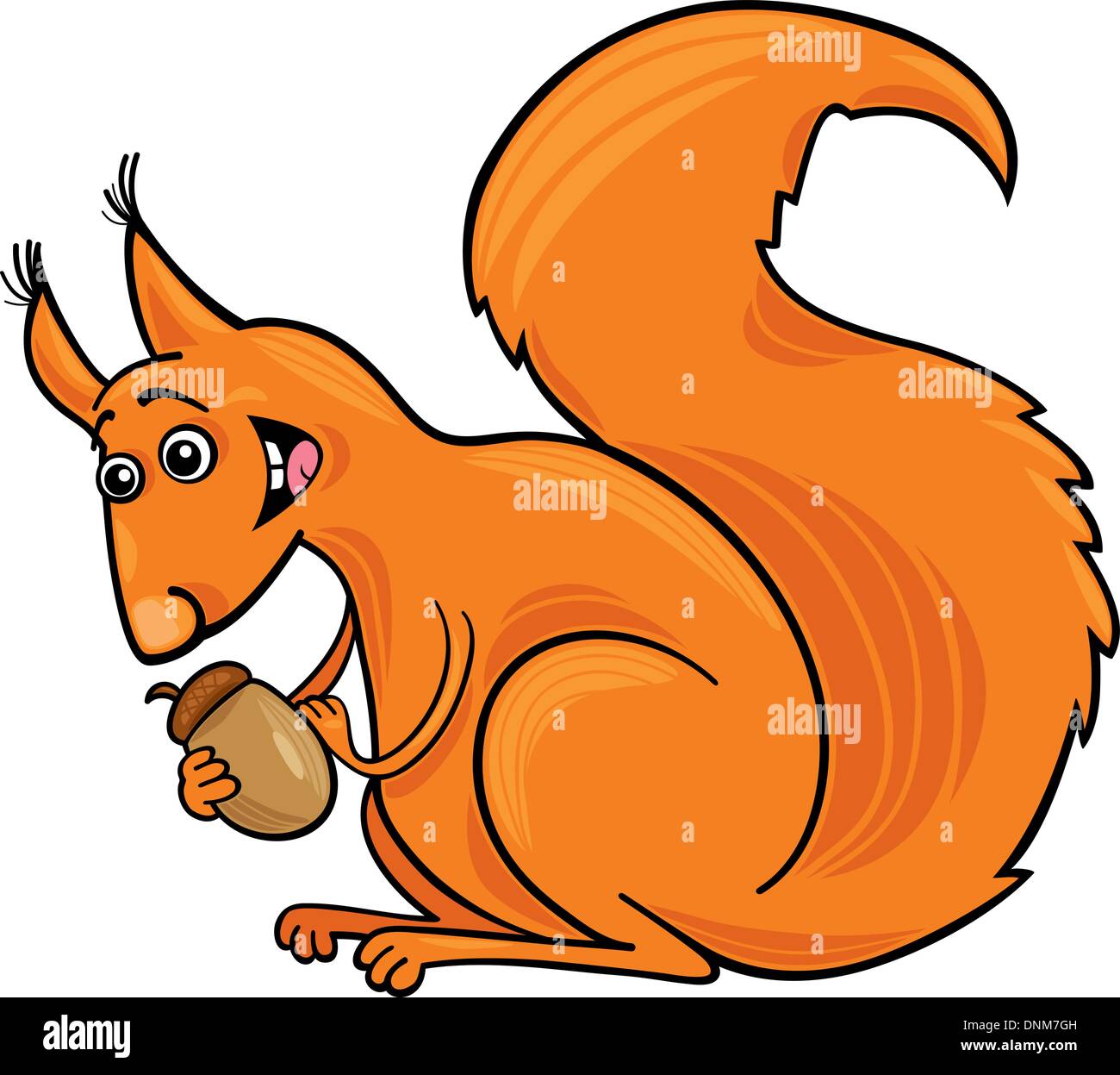 Cartoon illustration of funny red squirrel Stock Vector Image & Art - Alamy
