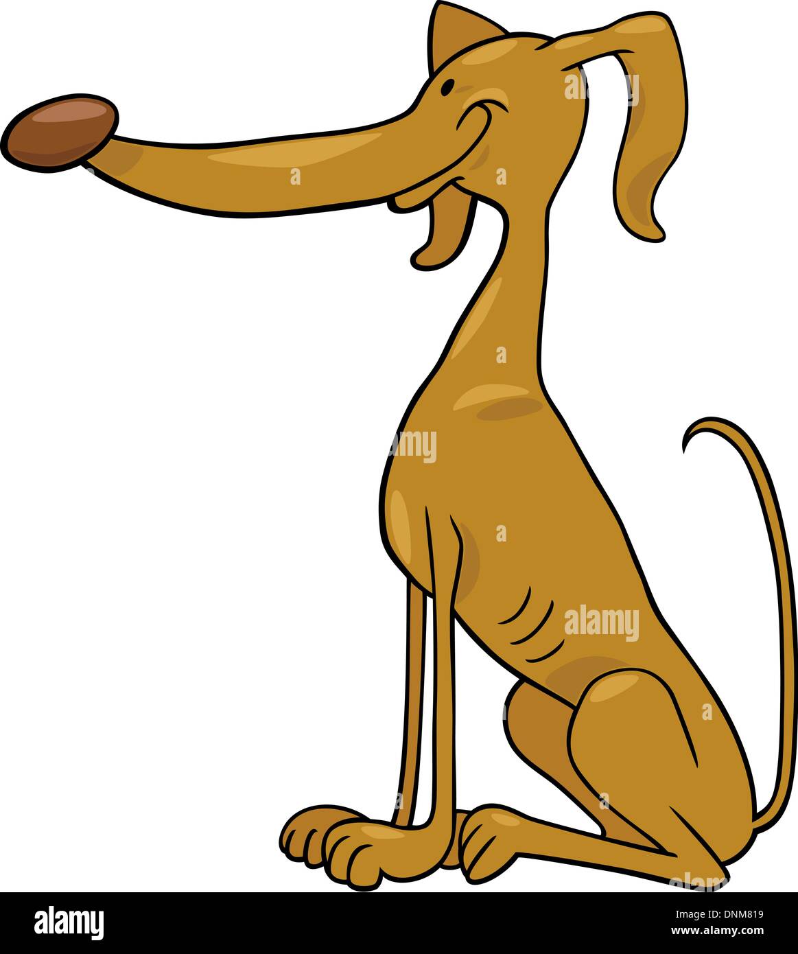 Cartoon Illustration of Funny Greyhound Dog Pet Stock Vector Image ...