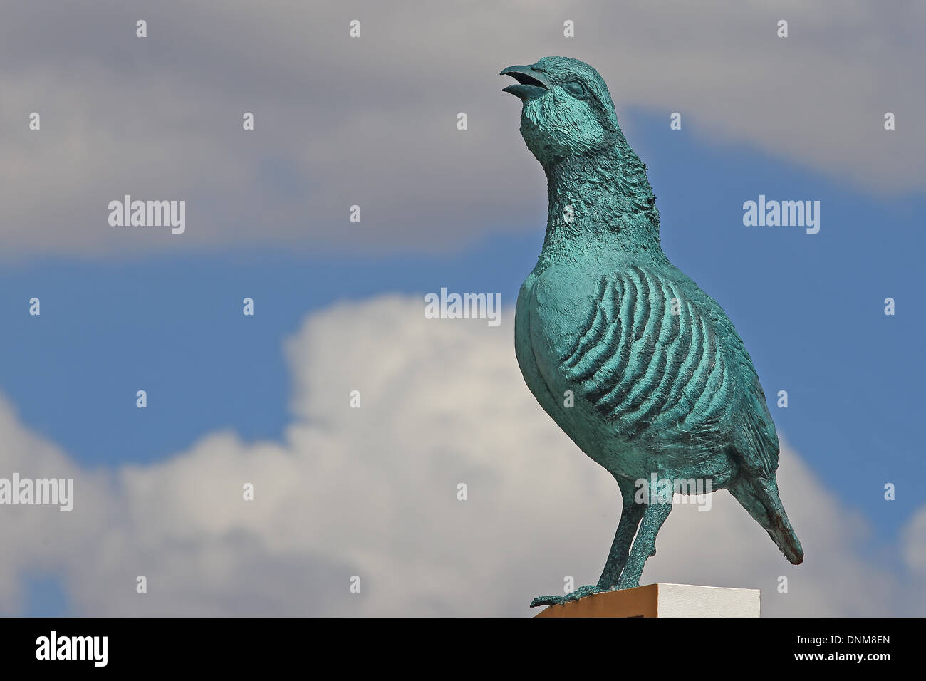 Red-legged Partridge (Alectoris rufa) sculpture Stock Photo - Alamy