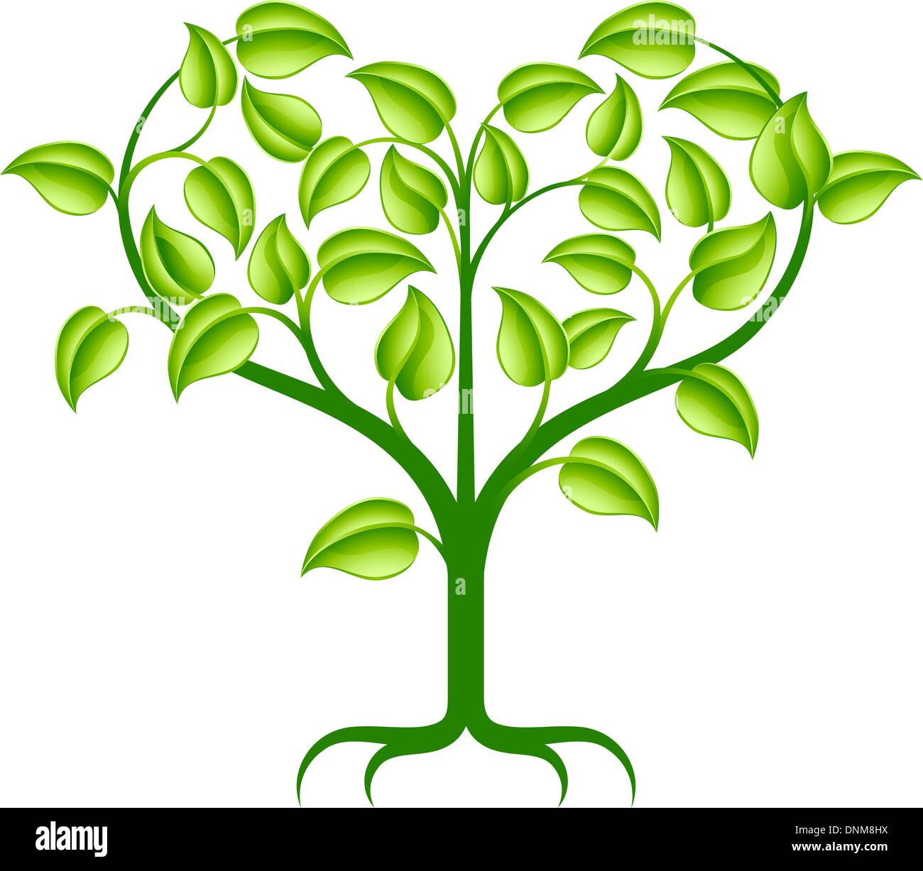 Green Tree With Roots And Branches