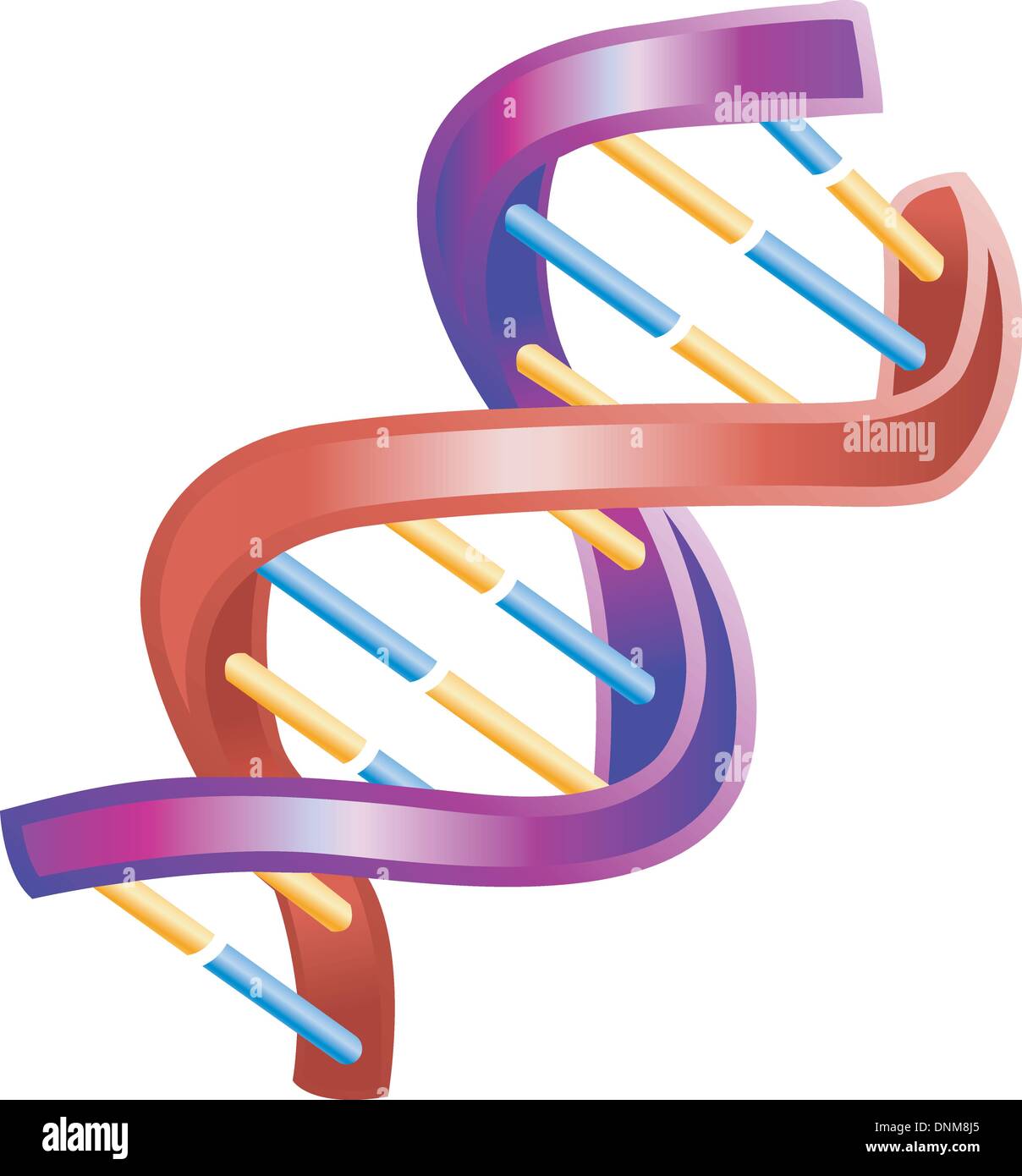 Double magnification Stock Vector Images - Alamy