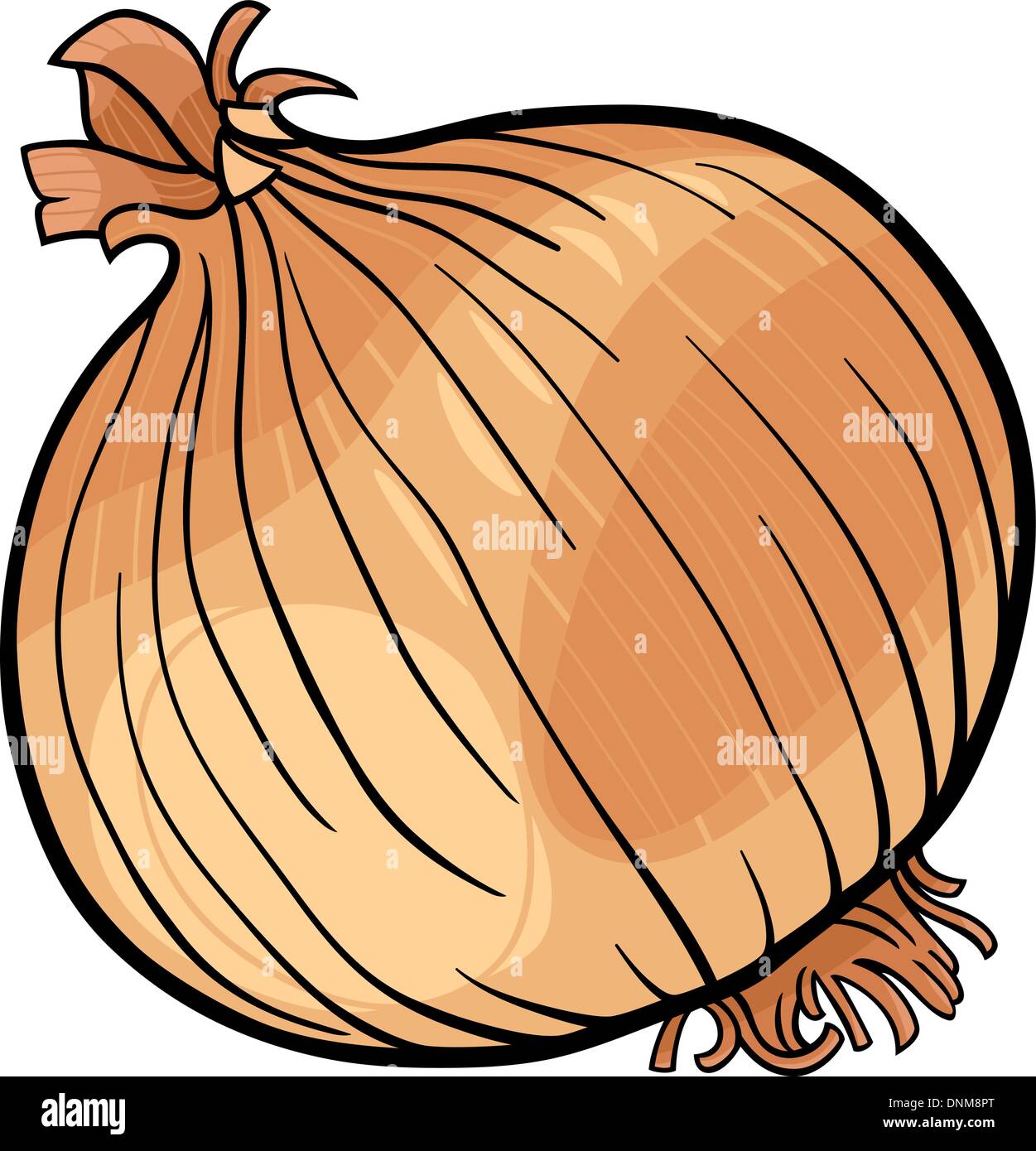 Cartoon Illustration of Onion Root Vegetable Food Object Stock Vector ...