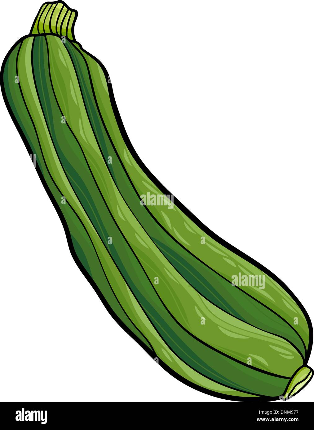 Cartoon Illustration of Zucchini Vegetable Food Object Stock Vector ...