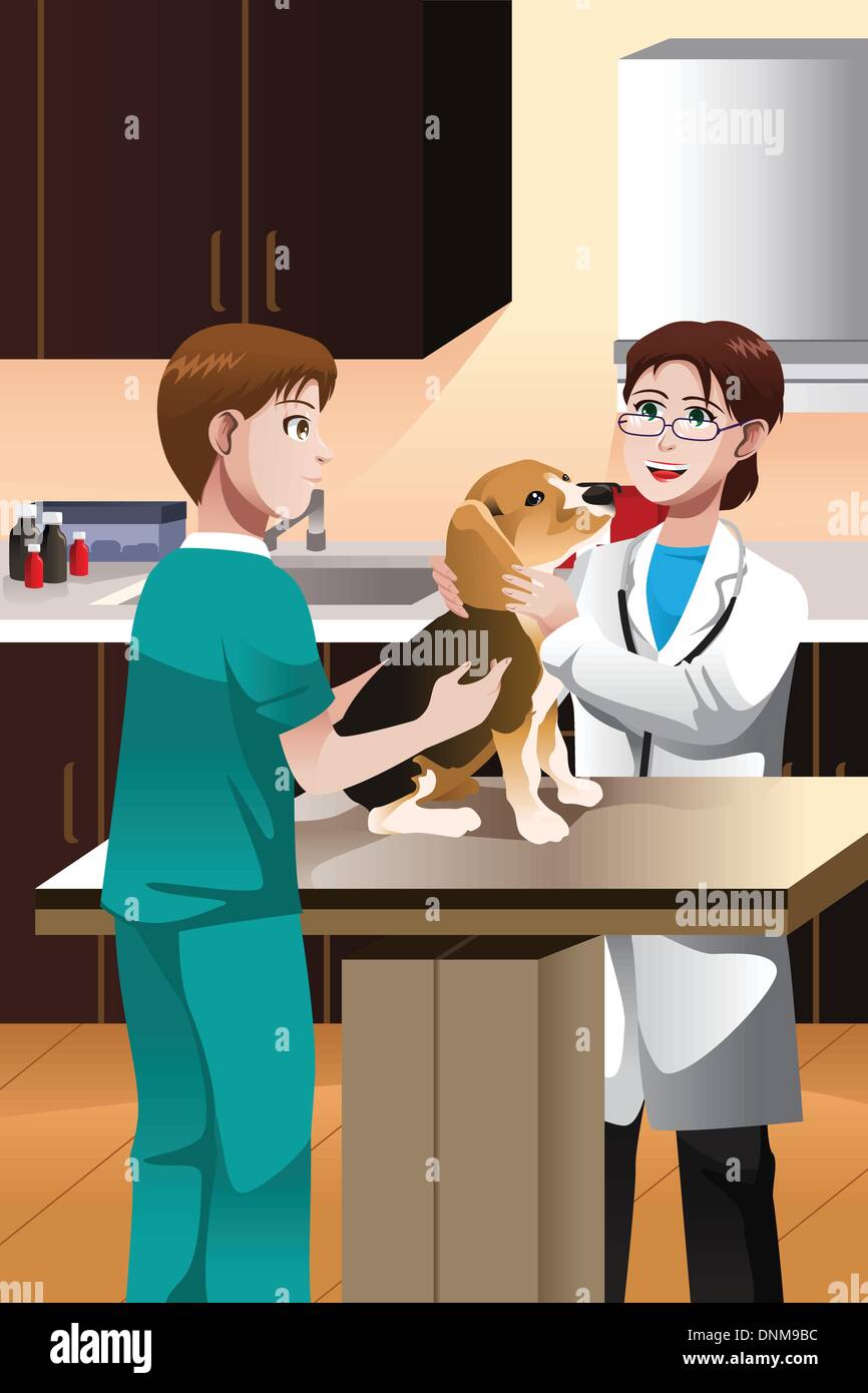 A vector illustration of a veterinarian examining a cute dog Stock ...