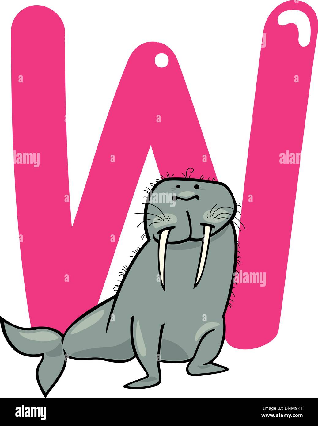 cartoon illustration of W letter for walrus Stock Vector Image & Art ...